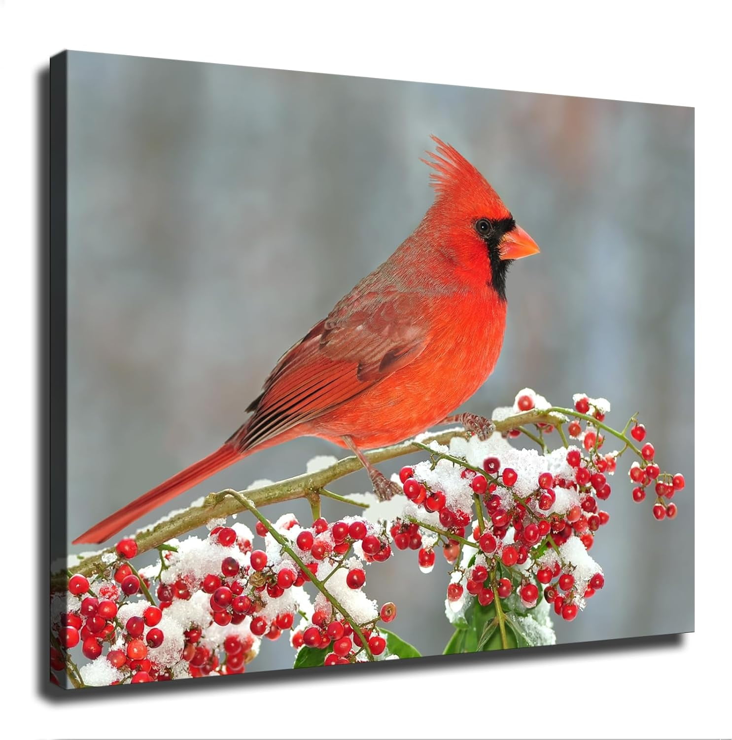 AABERIC Northern Cardinal Bird Winterberry Animal Wall Art Posters ...