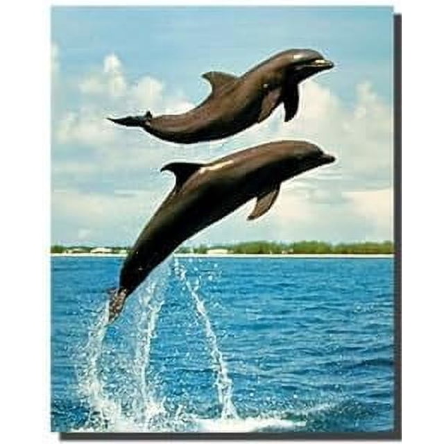 AABERIC Ocean Bottlenose Dolphins Jumping Animal Bathroom Wall Decor ...