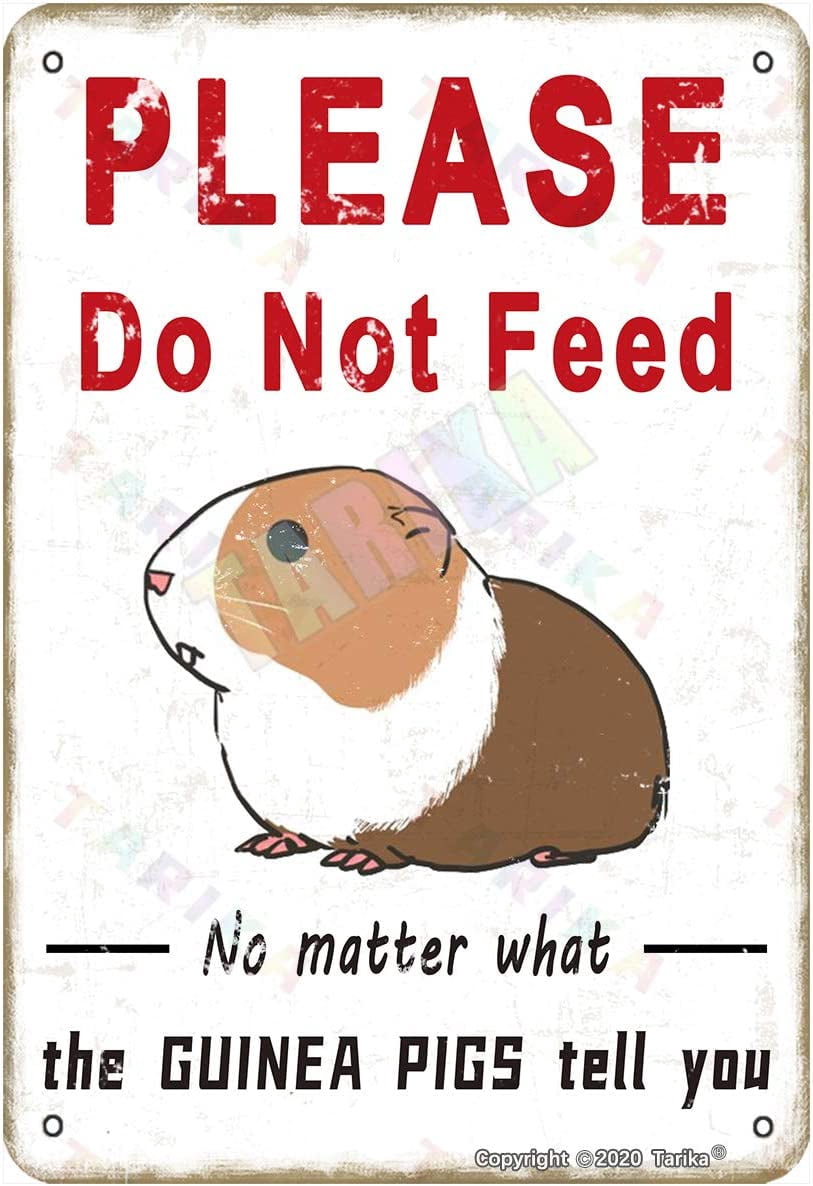AABERIC Please Do Not Feed The Guinea Pigs for Home,Outdoor,Club ...