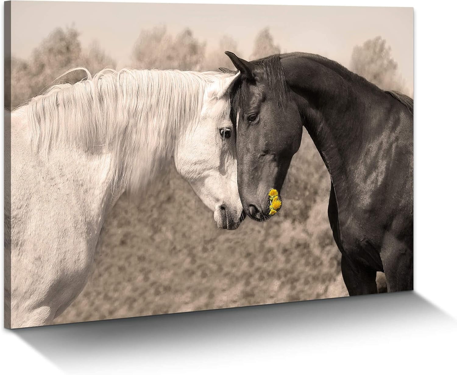AABERIC Ranch Horse Canvas Wall Art: Black and White Equines Friendly ...