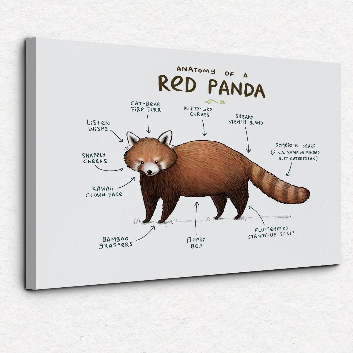 AABERIC Red Panda Wall Art, Red Panda Poster, Red Panda Gifts, Panda ...