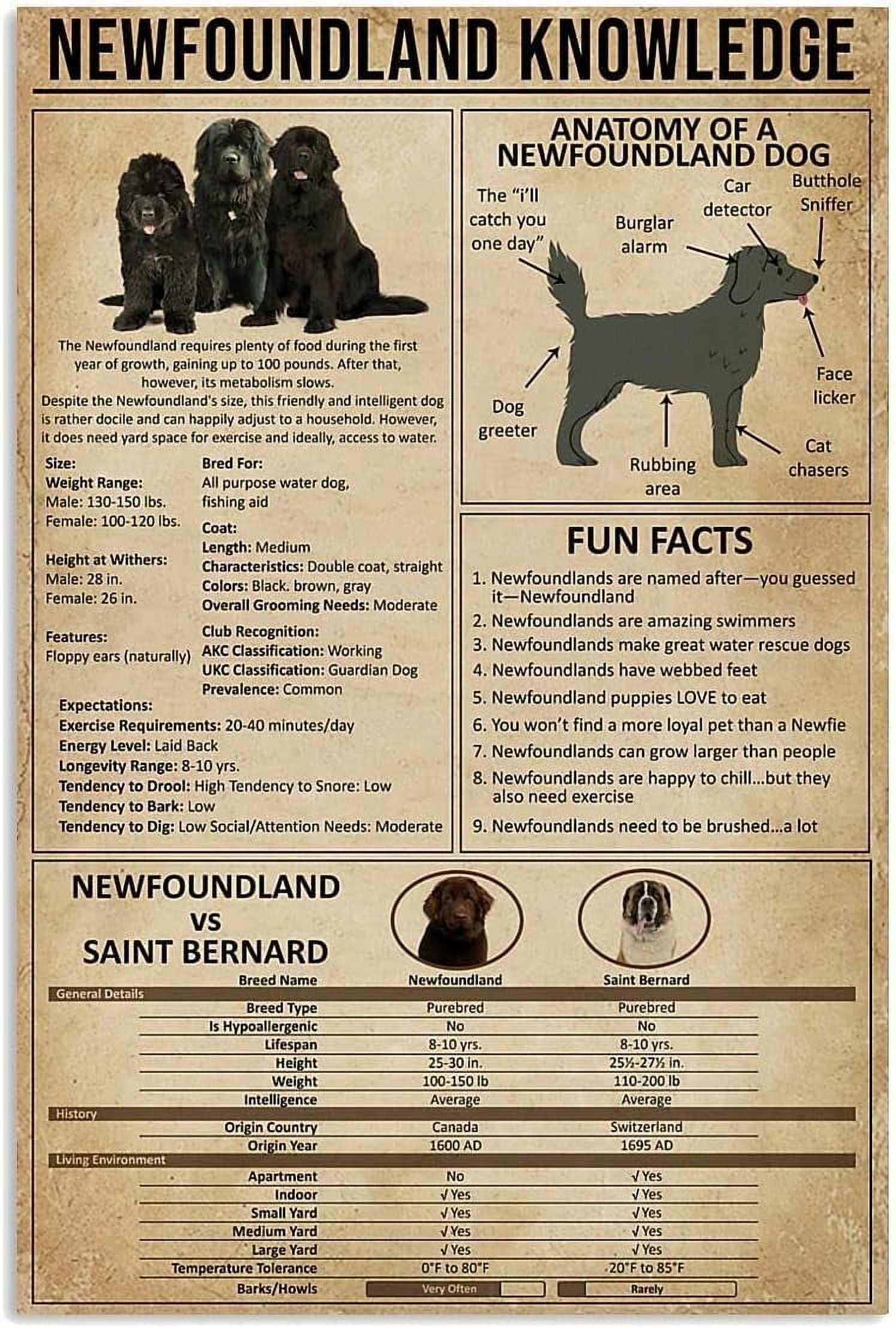 AABERIC Retro Knowledge Art Poster Prints 7 (Piano Knowledge Vertical ...