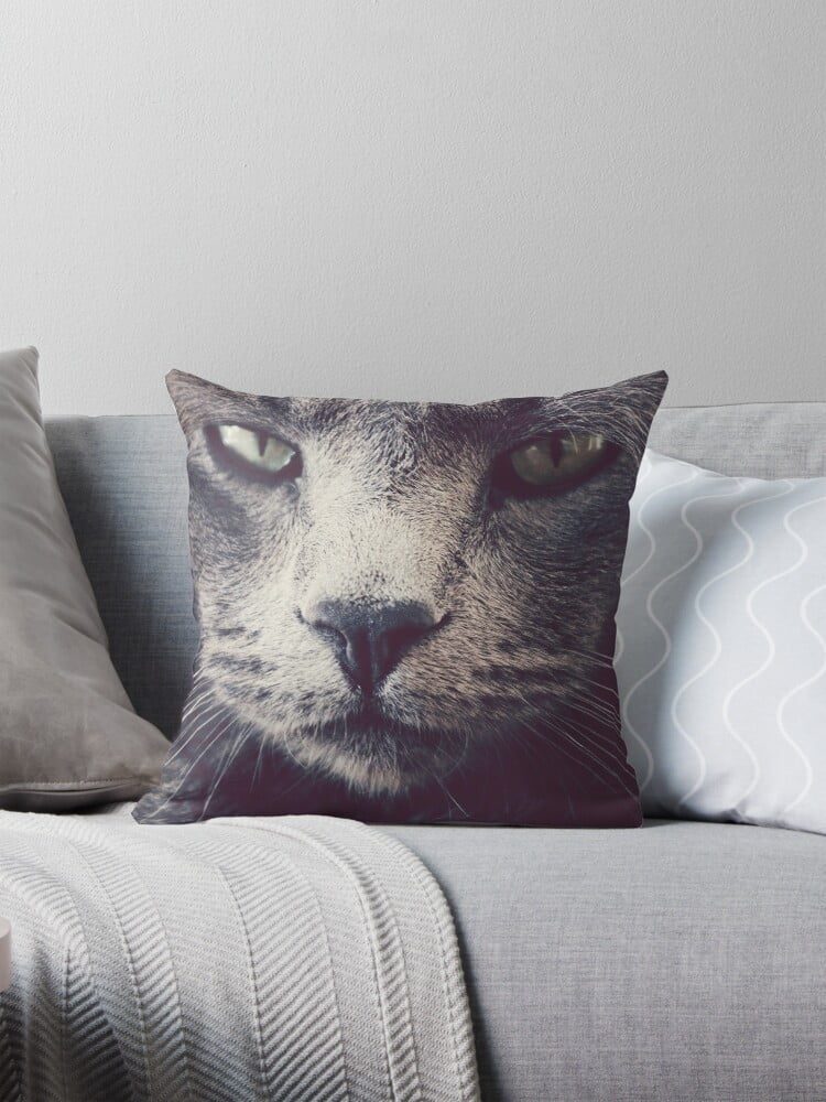 AABERIC Russian Blue House Cat Throw Pillow Covers Cases Cushion Cover ...