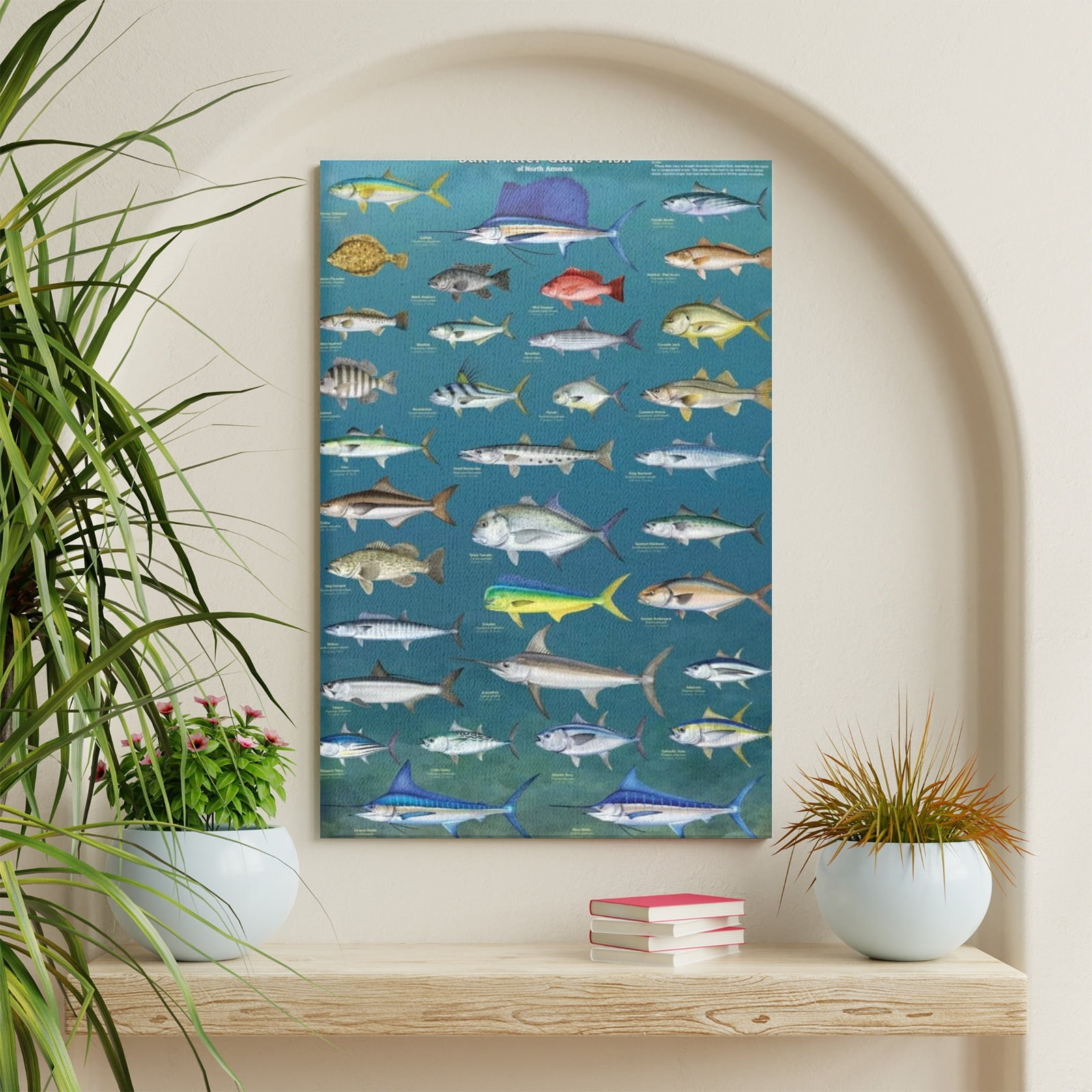 AABERIC Salt Water Game Fish of North America Educational Reference ...