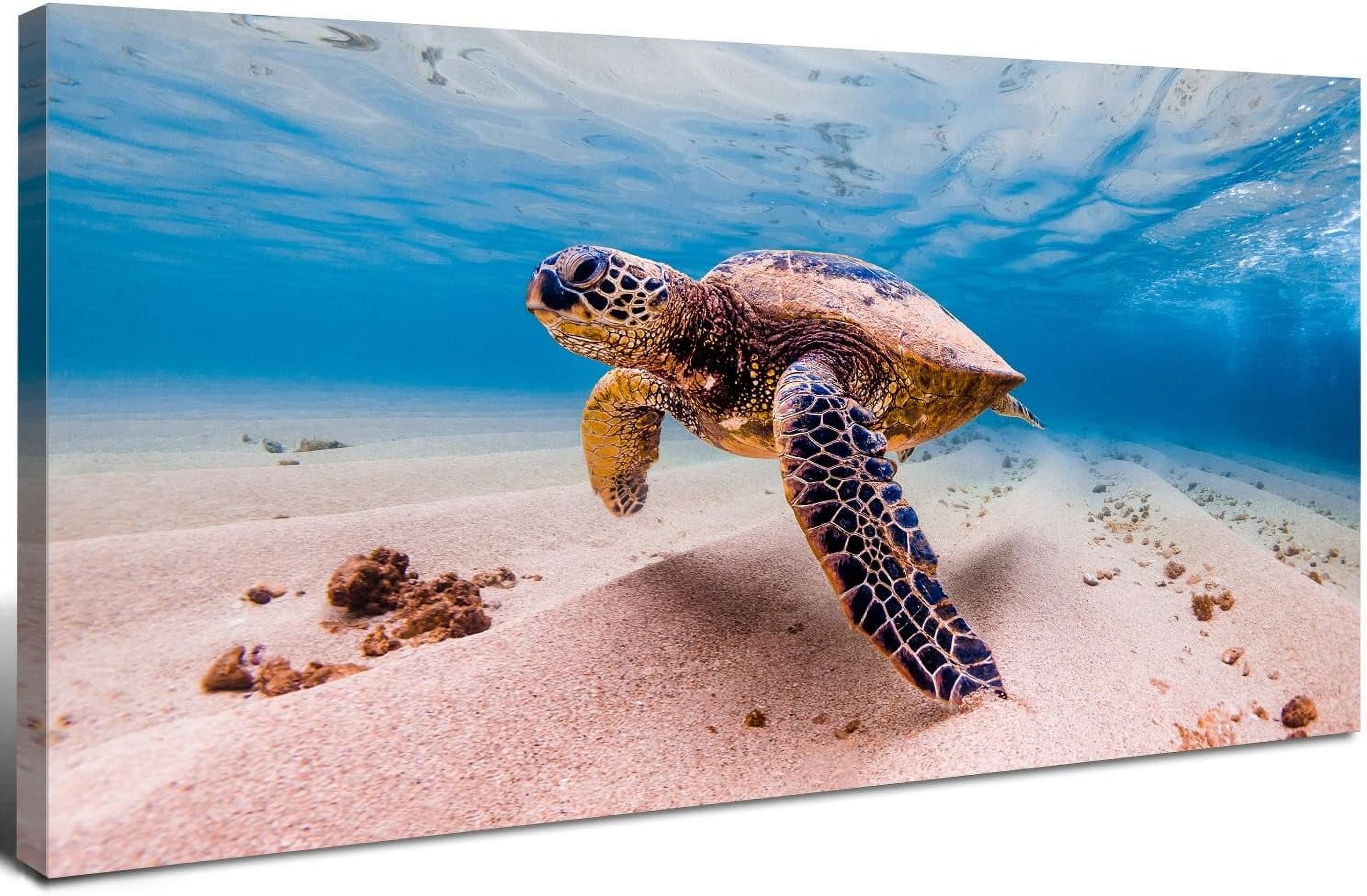 AABERIC Sea Turtle Canvas Wall Art Beach Bathroom Decor Nautical Sea ...