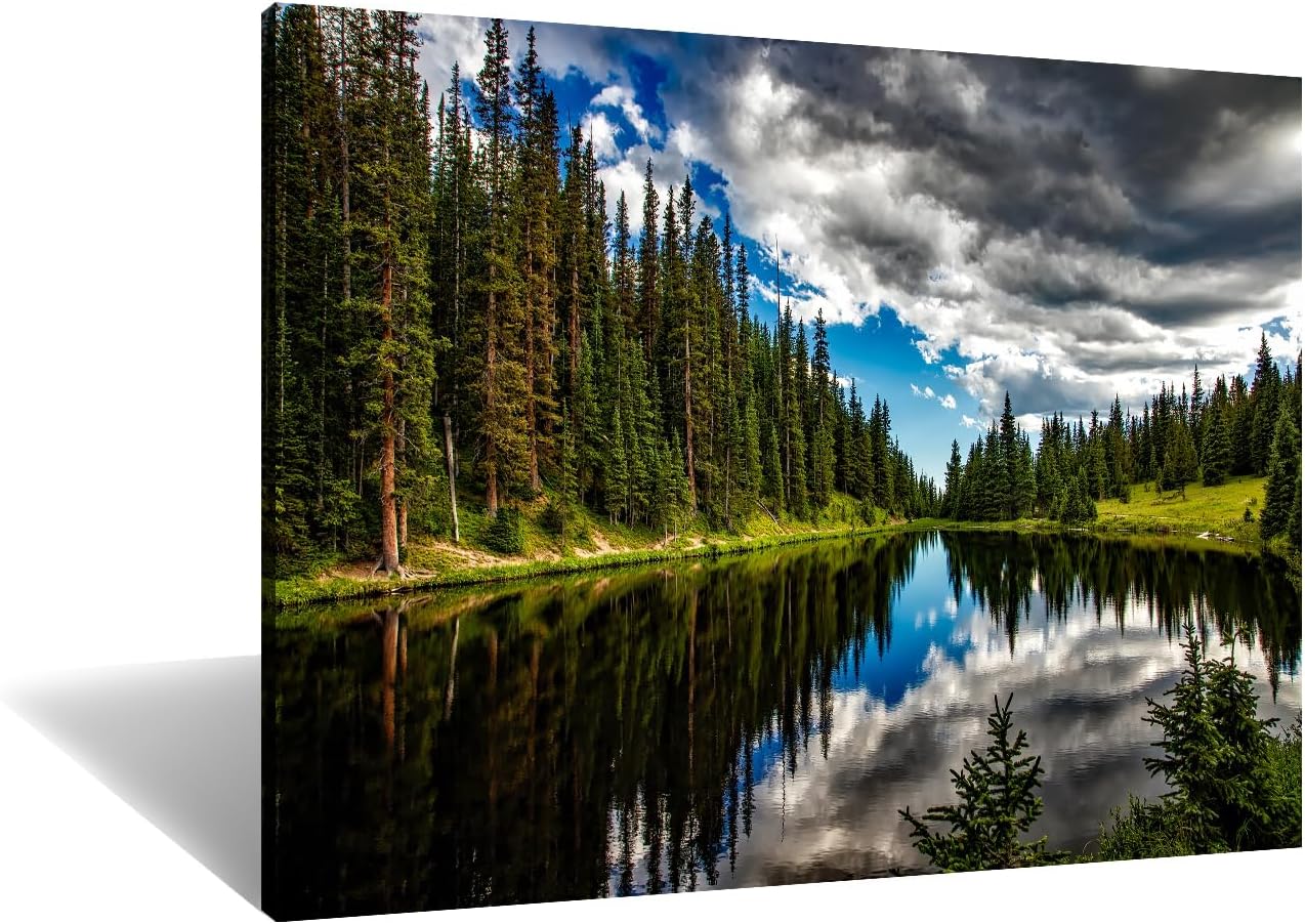 AABERIC Shark Wall Art Blue Painting Shark Catching Fish Picture Print ...