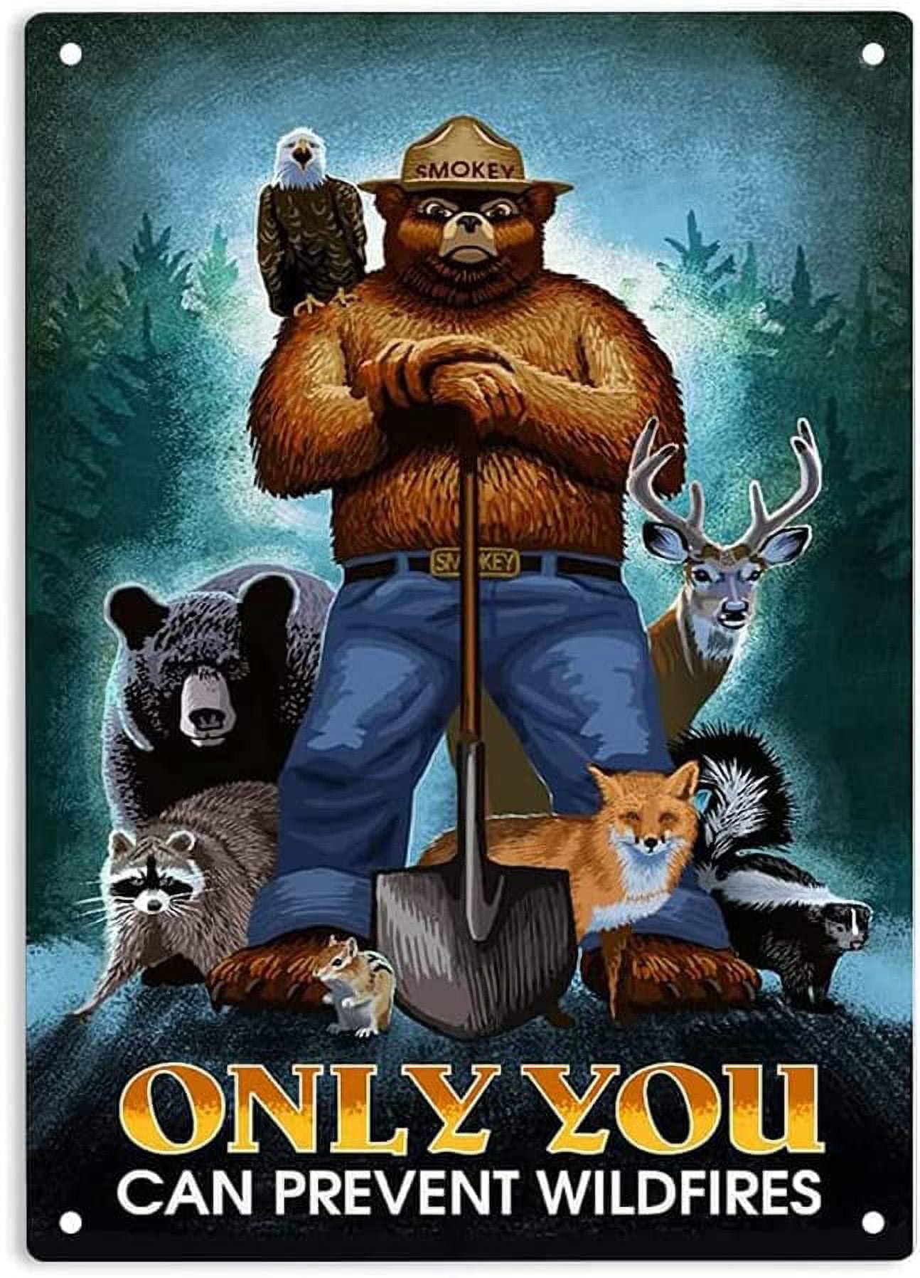 AABERIC Smokey Bear Only You Can Prevent Wildfires Sign Metal Tin Sign ...