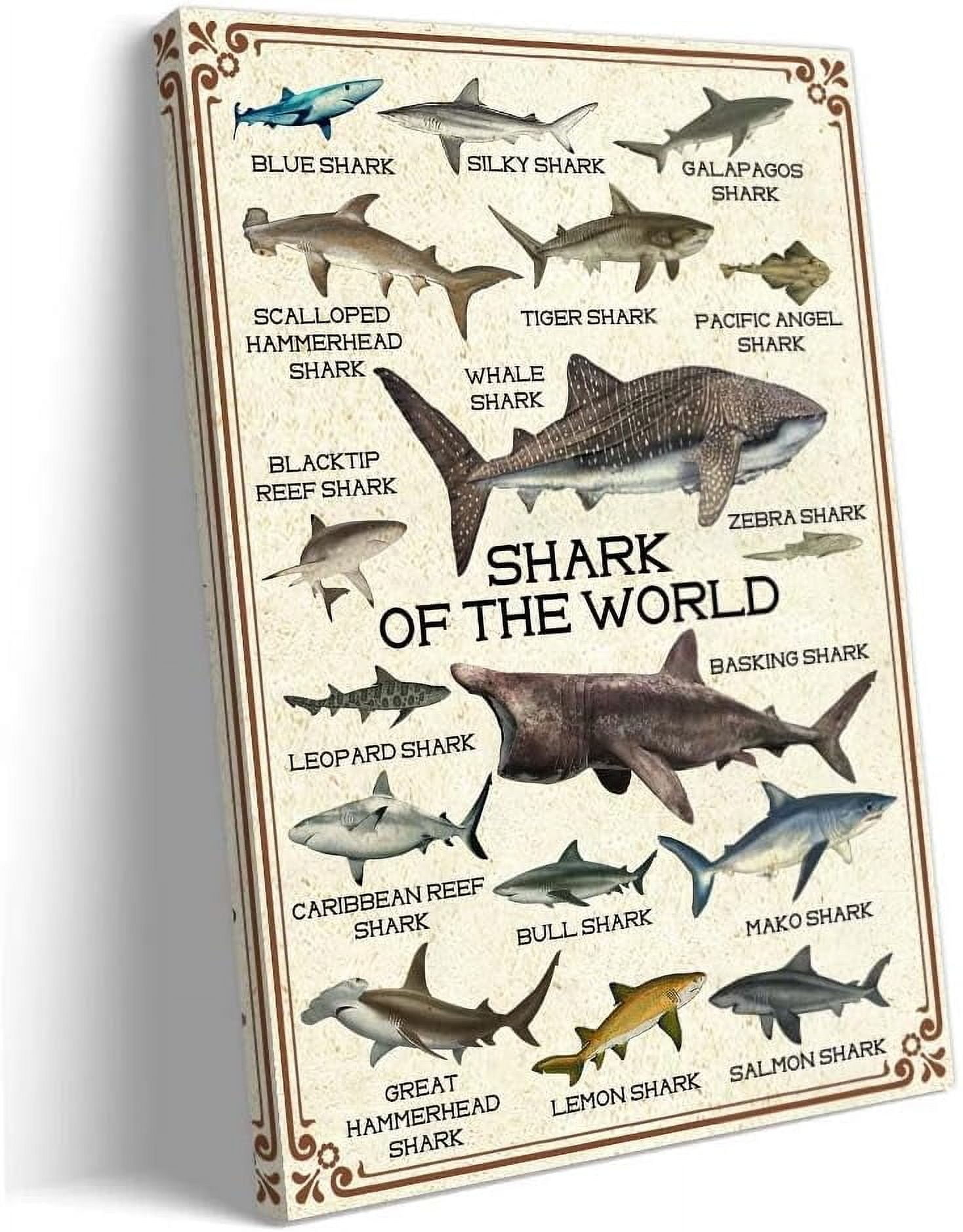 AABERIC Sports Fish of North America Wall Art Canvas Framed office ...