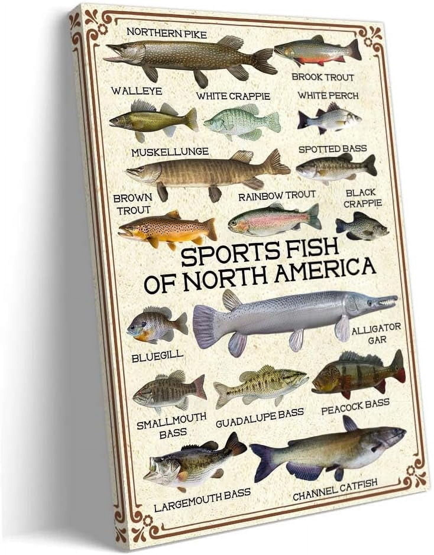 AABERIC Sports Fish of North America Wall Art Canvas Framed office ...