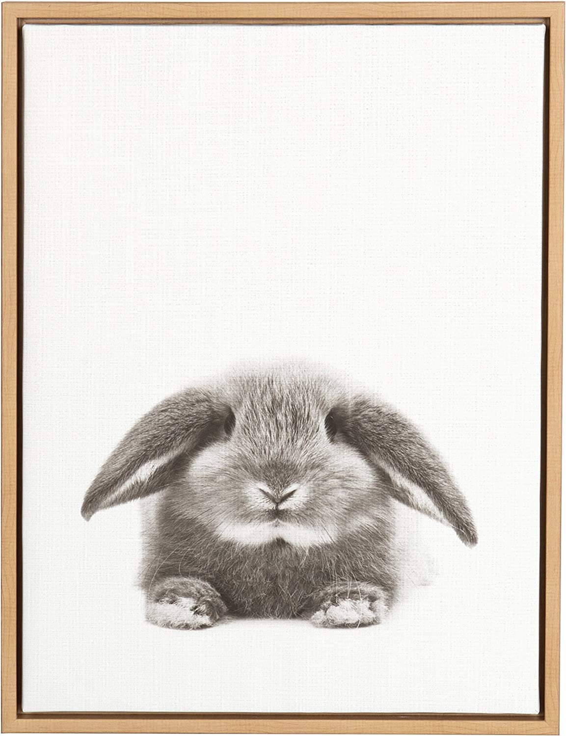 AABERIC Sylvie Rabbit Animal Print Black and White Portrait Framed Canvas Wall Art by Simon Te ...