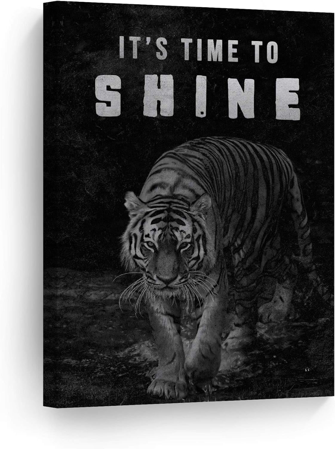 AABERIC It's Time to Shine Black White Tiger Motivational Wall Art ...