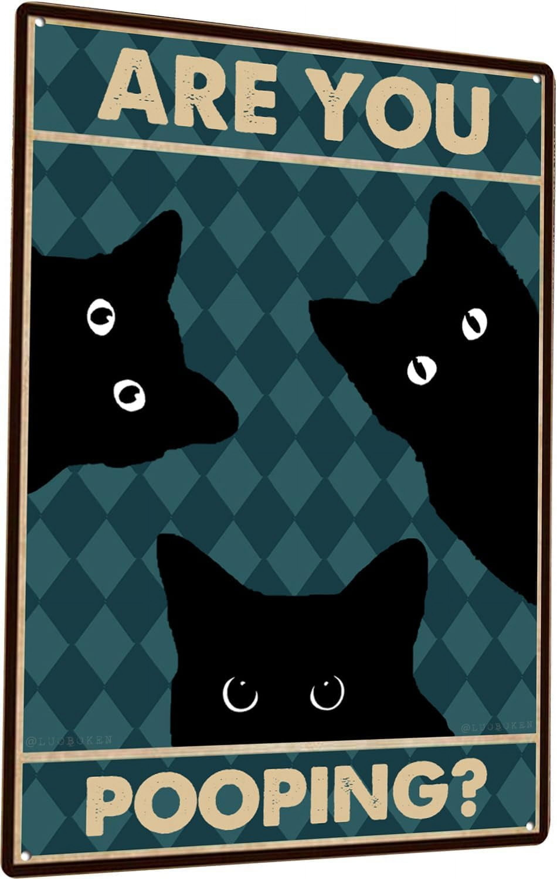 AABERIC Tin Metal Signs Vintage Black Cat are You Pooping Signs ...