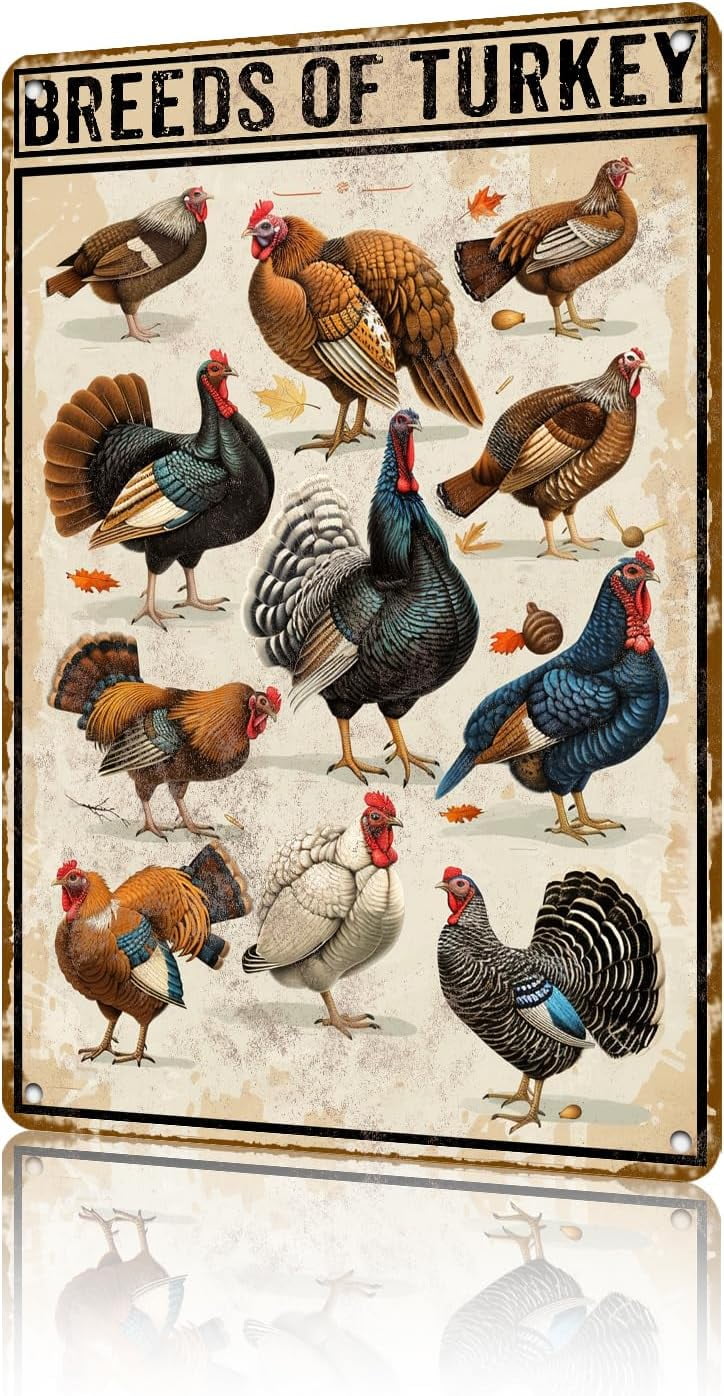 AABERIC Turkey Metal Tin Sign Breeds Of Turkey Thanksgiving Day Funny ...