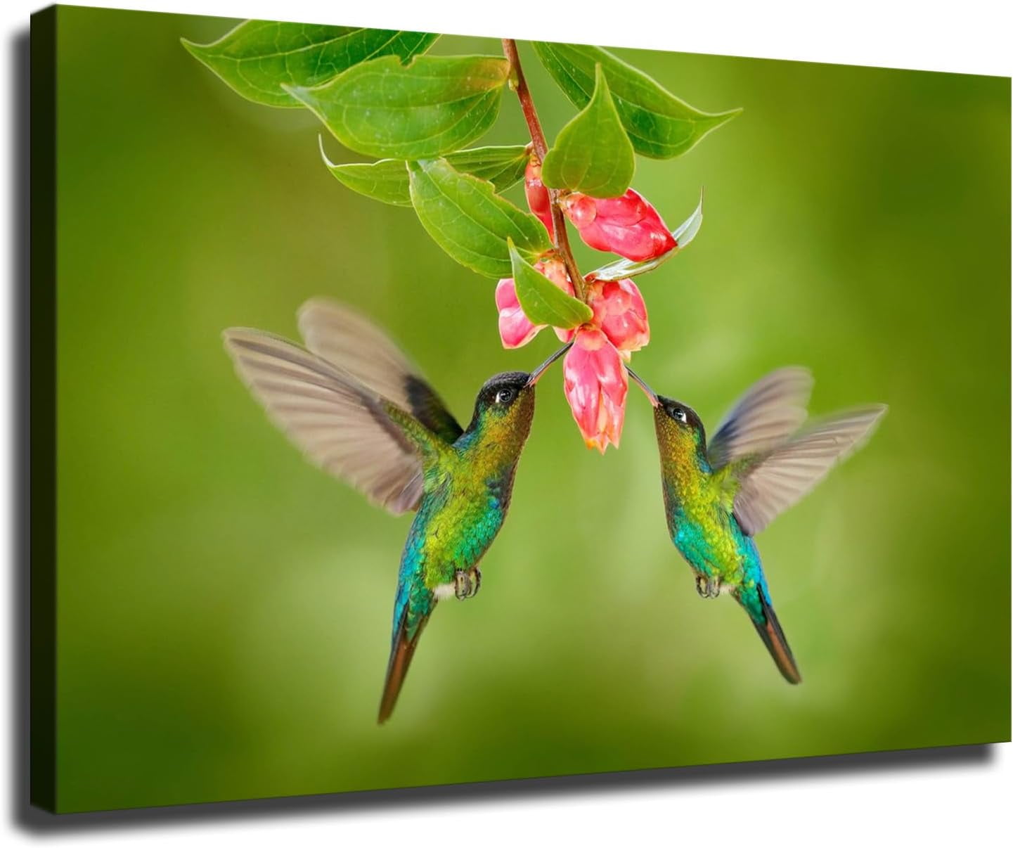 AABERIC Two Hummingbirds Beautiful Animals Birds Poster Canvas Print ...