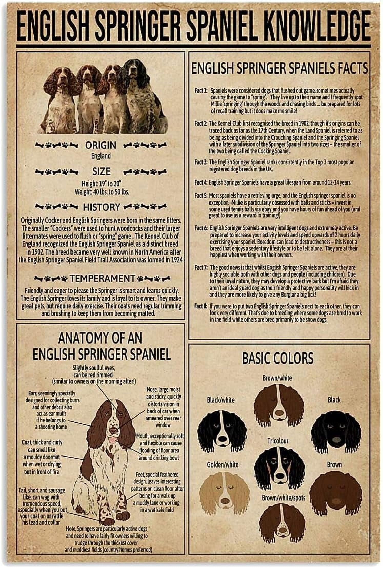 AABERIC Types Of Art Poster Prints 2 (Types Of Ants Vertical Art Poster ...