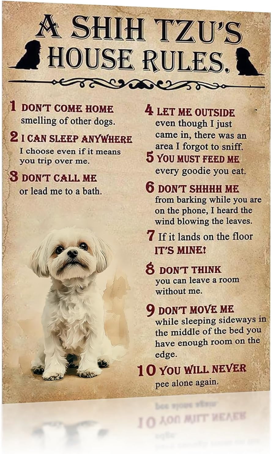 AABERIC Vintage Metal Signs A Shih Tzu's House Rules Funny Dog Tin Sign ...