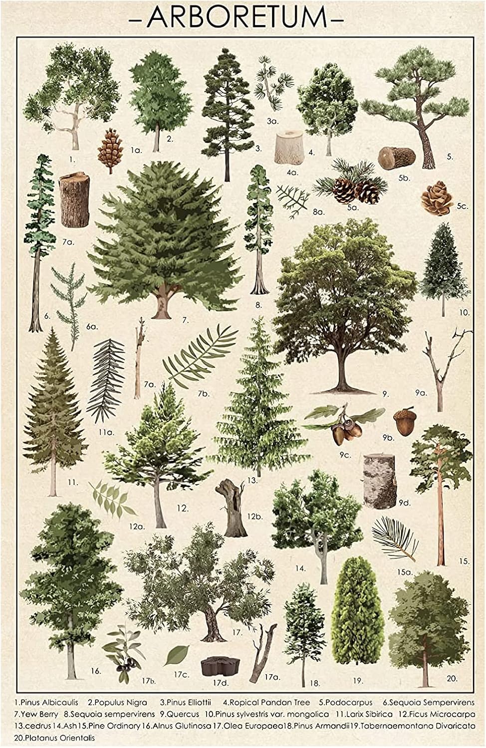 AABERIC Vintage Poster Tree Wall Art Botanical Poster Plant Wall Art ...