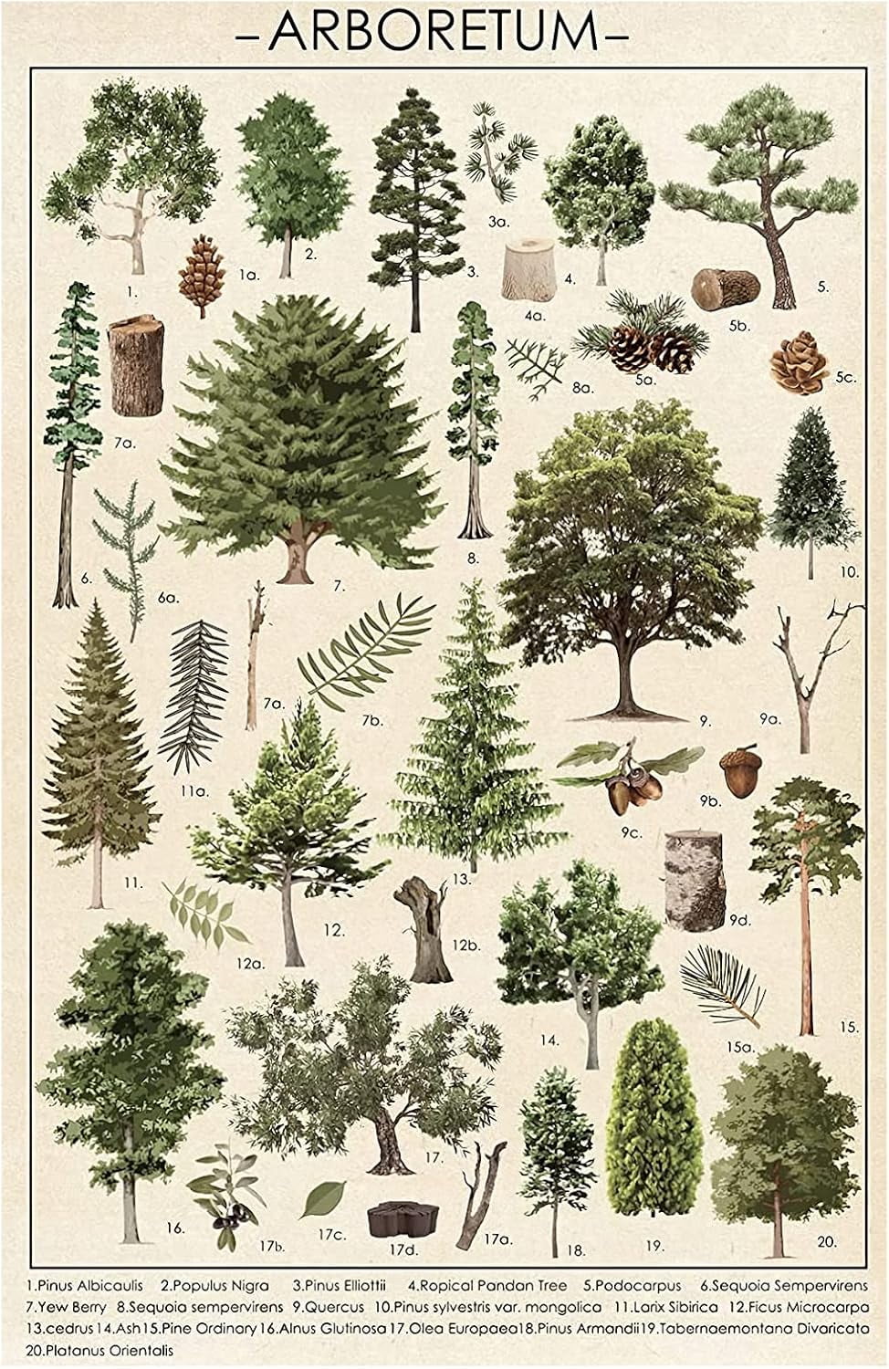 AABERIC Vintage Poster Tree Wall Art Botanical Poster Plant Wall Art ...