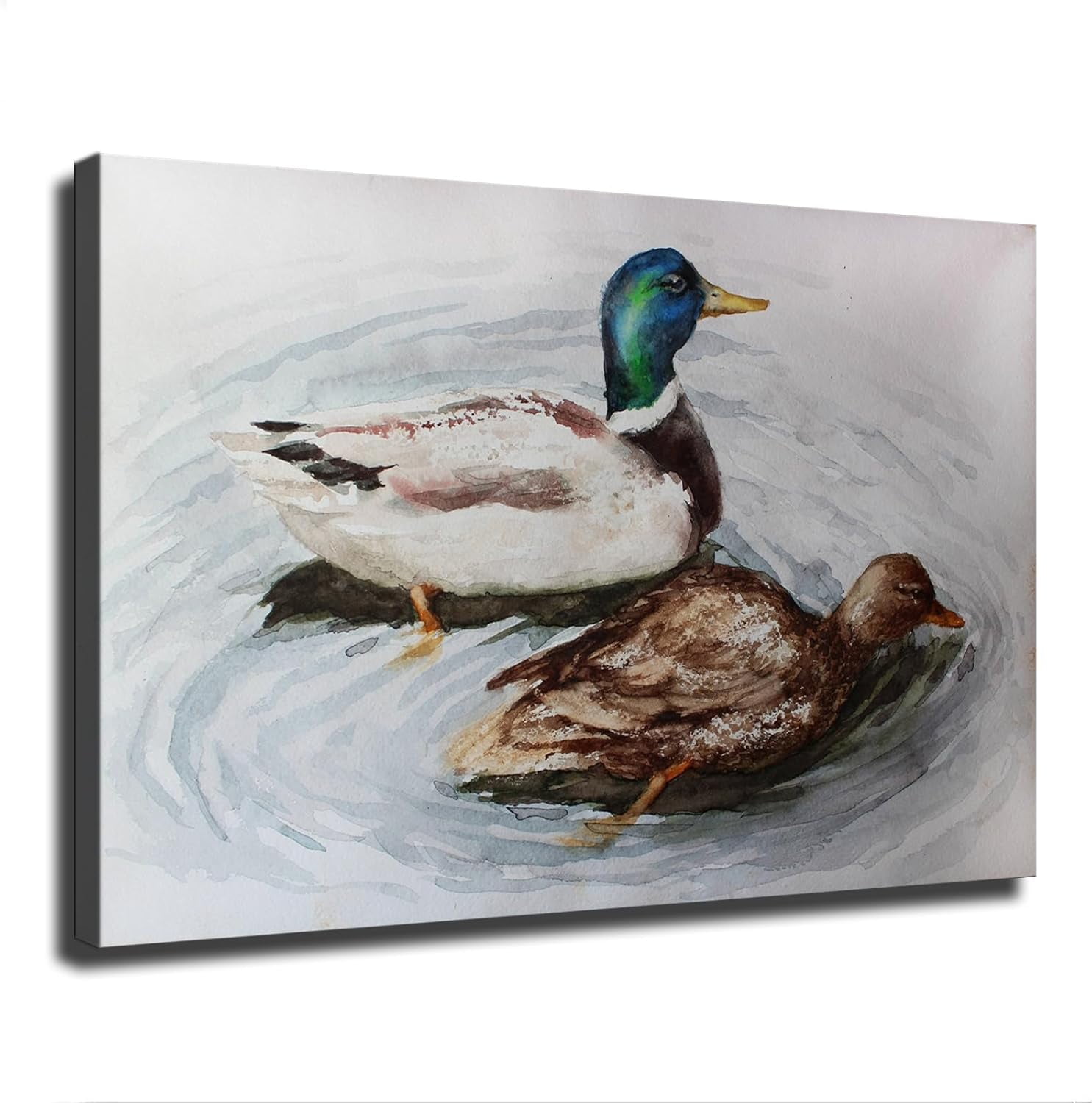 AABERIC Vintage Two Mallard Ducks Swimming Wild Birds Animal Poster ...