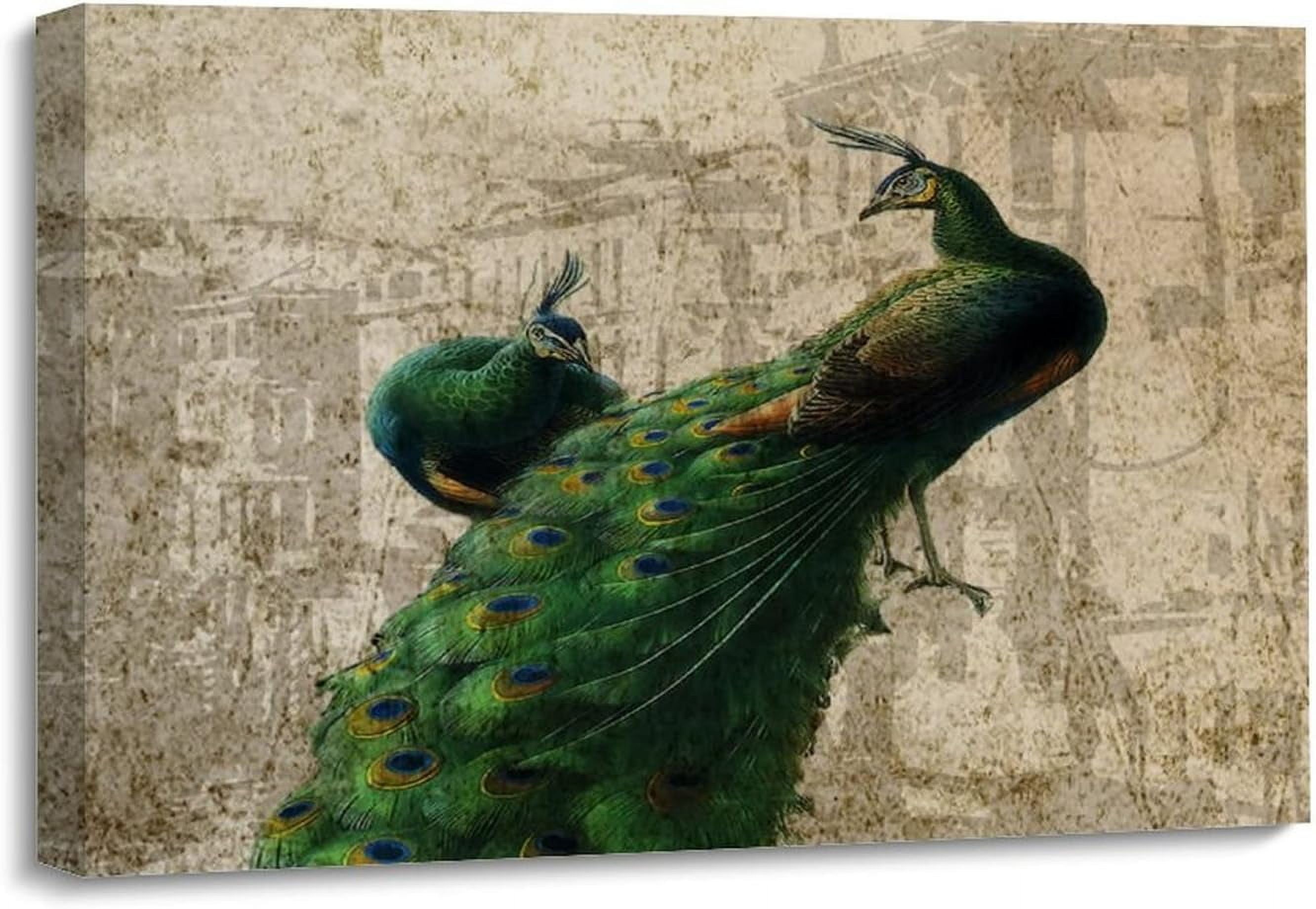 AABERIC Wall Prints Nostalgic Peacock Canvas Print Wall Art Peacock ...