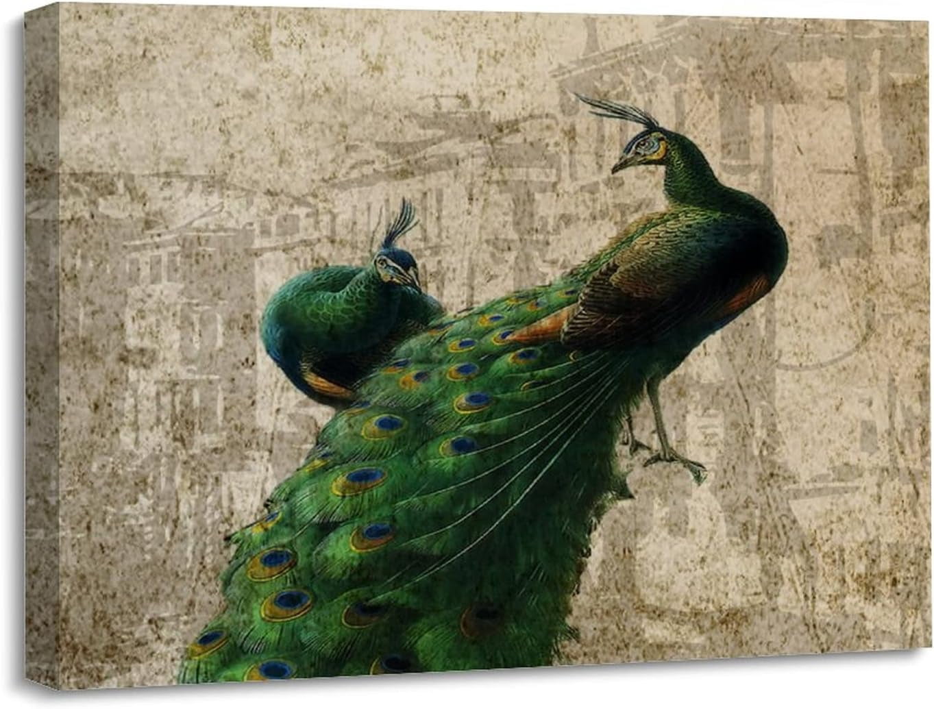 AABERIC Wall Prints Nostalgic Peacock Canvas Print Wall Art Peacock ...