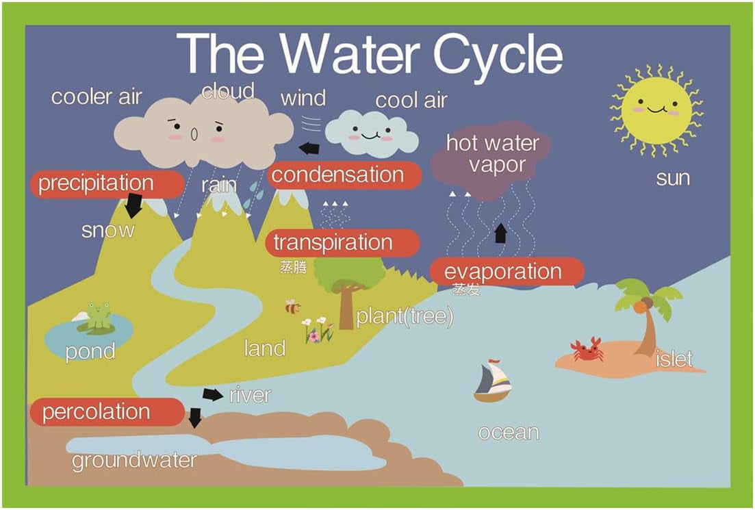 AABERIC The Water Cycle Mind Mapping Educational Posters Toddlers Kids ...