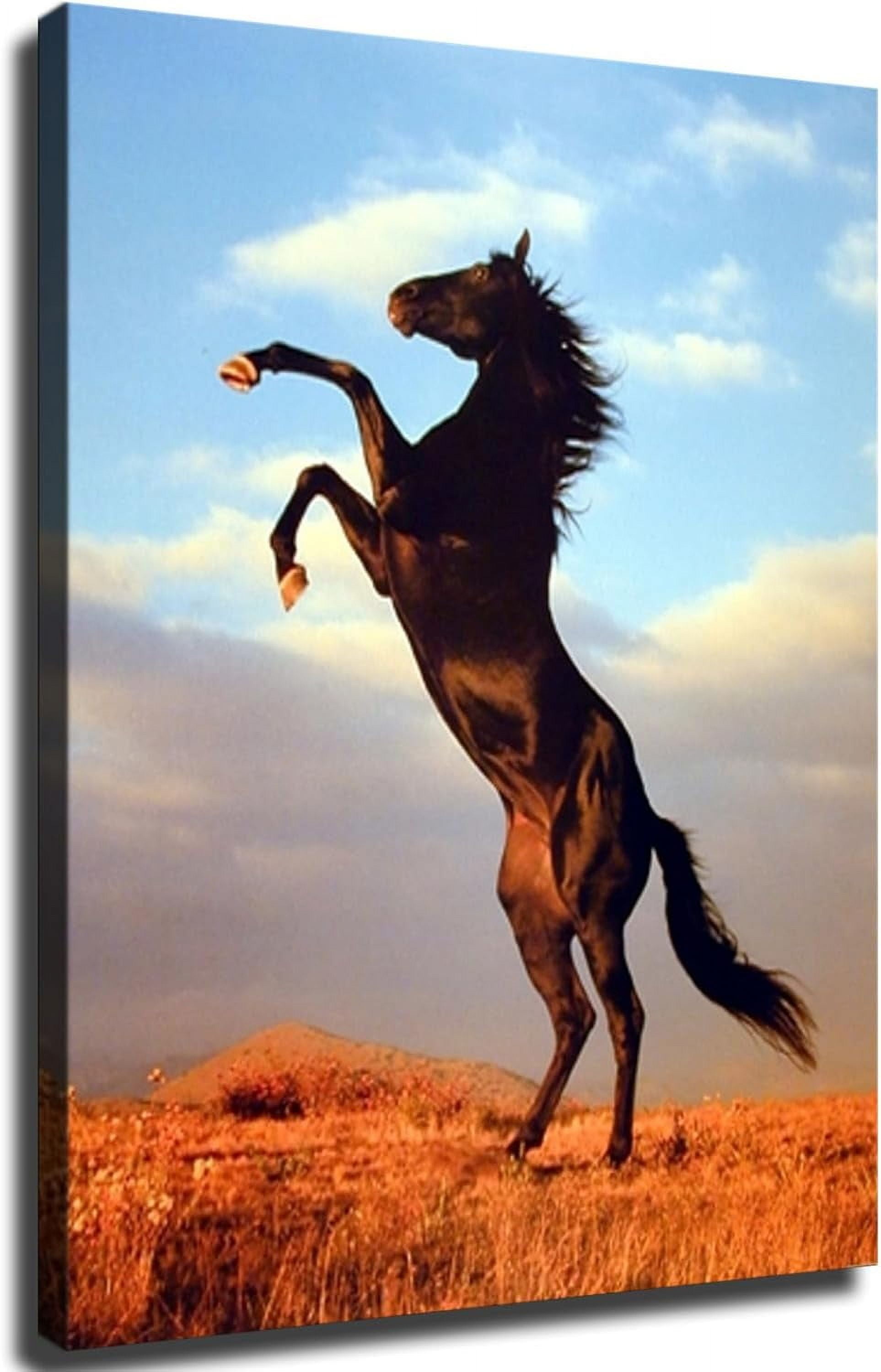 ADALE Wild Black Stallion Horse Breeding Animal Poster Canvas Print ...