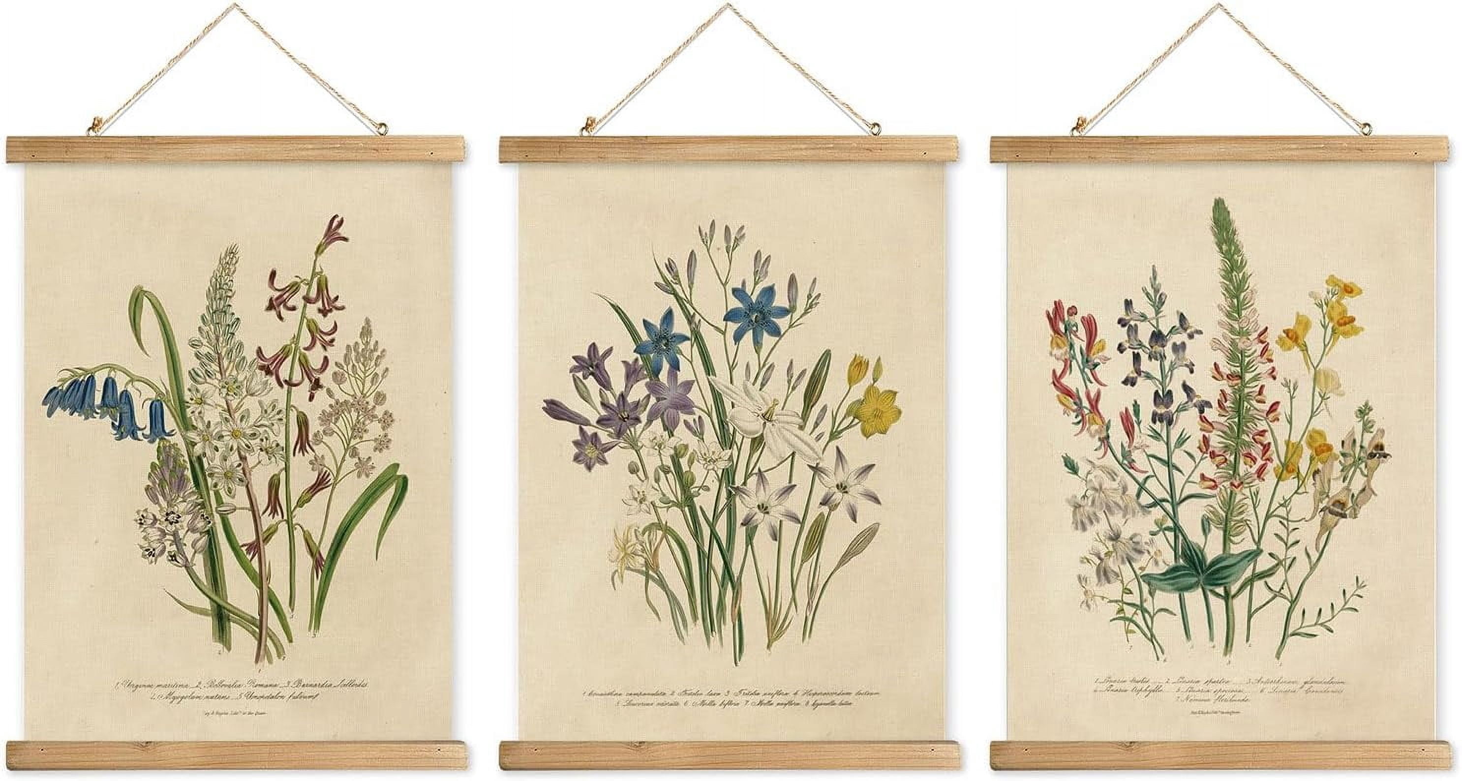 AABERIC Winter Wildlife Educational Poster - Illustrated Arctic Animals ...