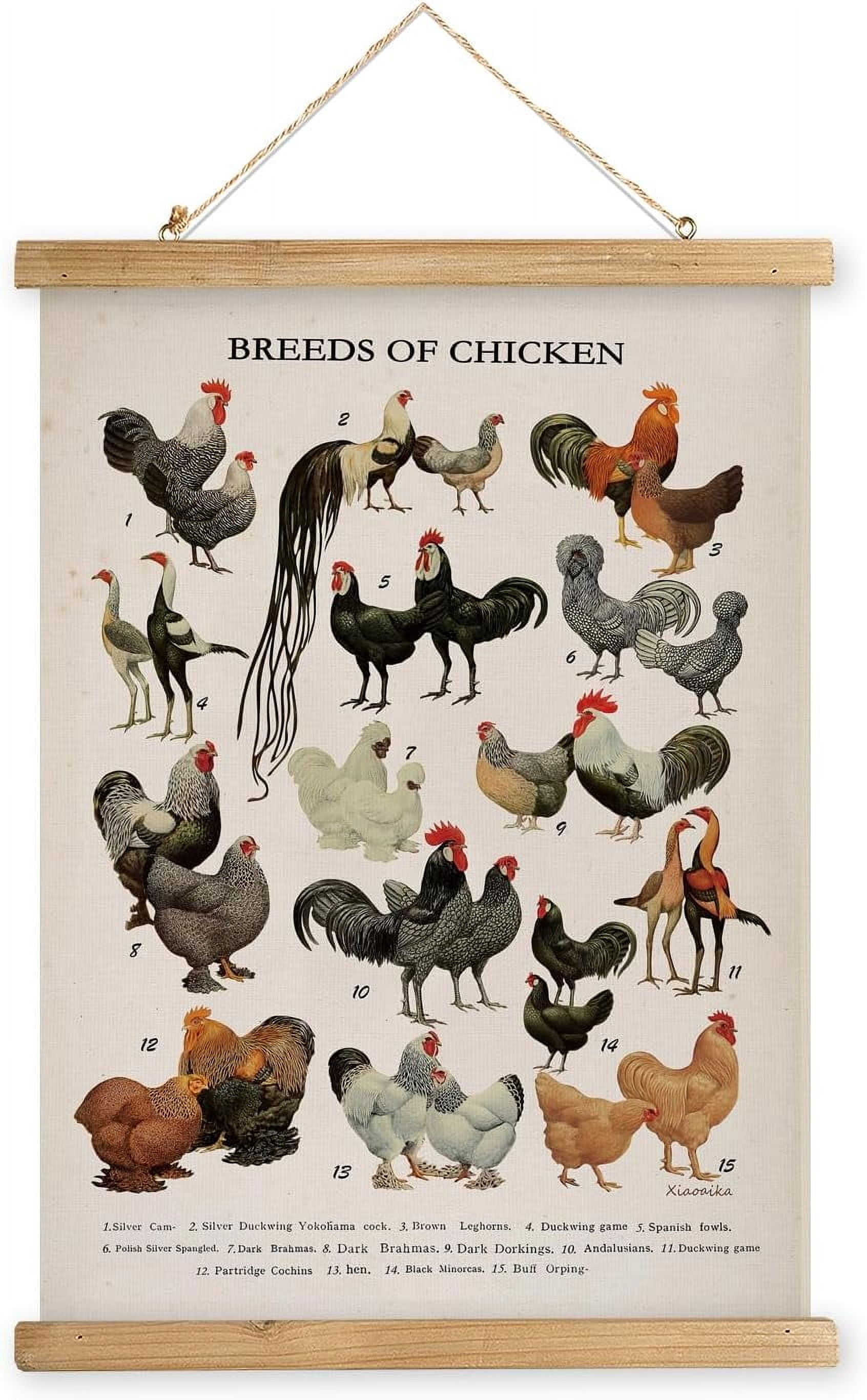 AABERIC Winter Wildlife Educational Poster - Illustrated Arctic Animals ...