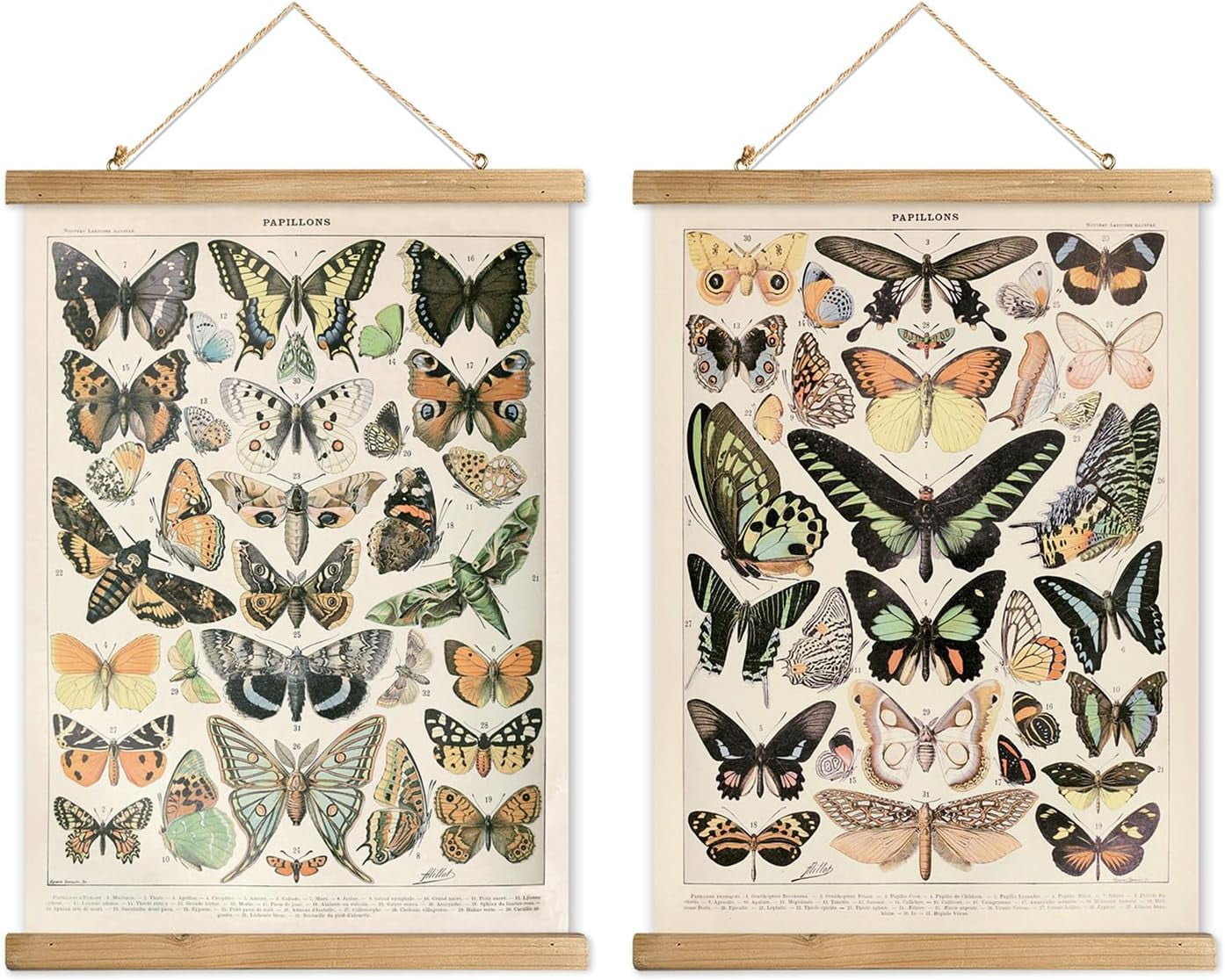 AABERIC Winter Wildlife Educational Poster - Illustrated Arctic Animals ...