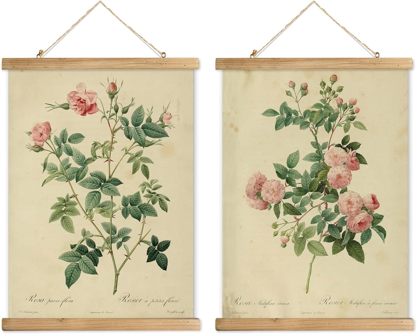 AABERIC Winter Wildlife Educational Poster - Illustrated Arctic Animals ...