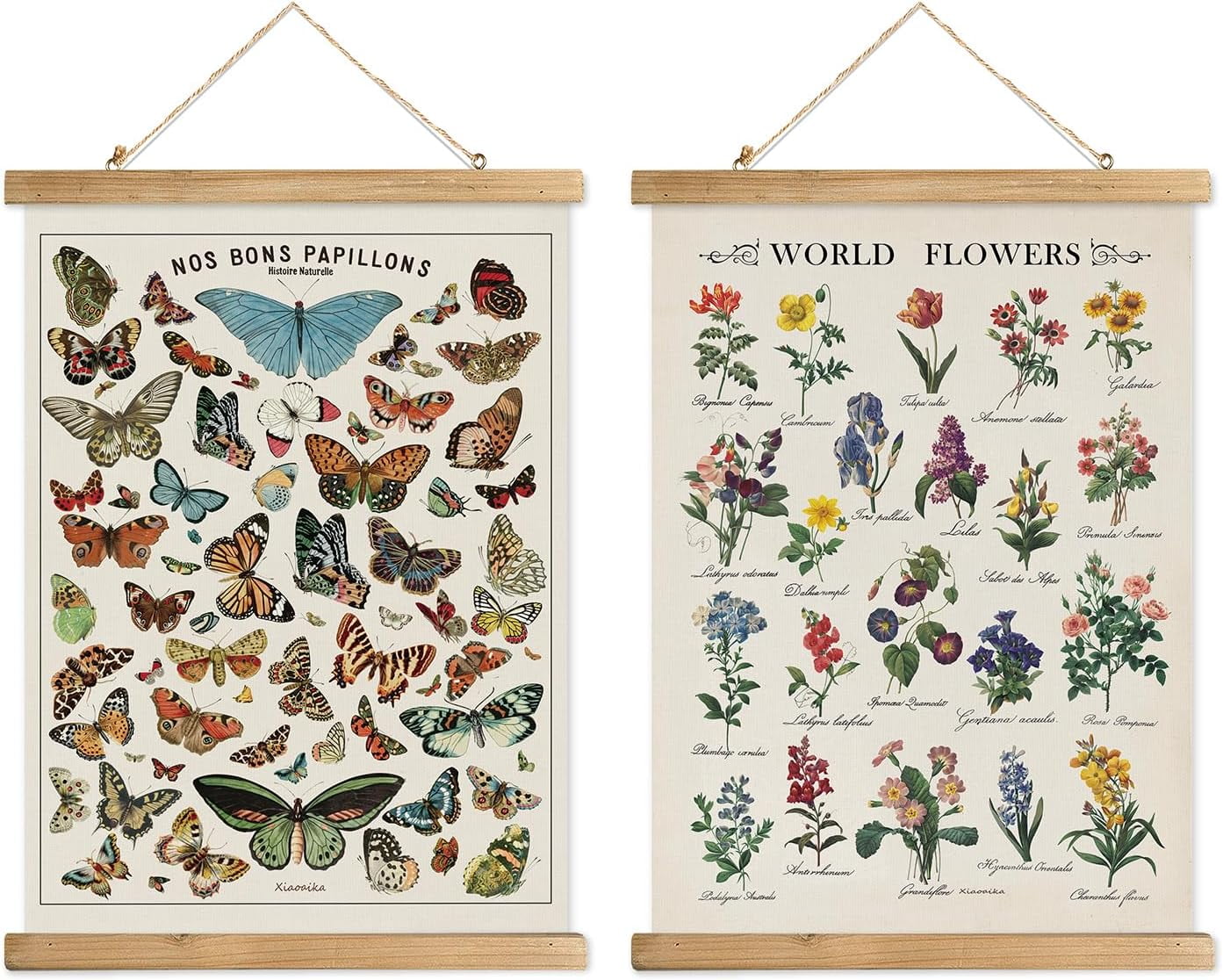 AABERIC Winter Wildlife Educational Poster - Illustrated Arctic Animals ...