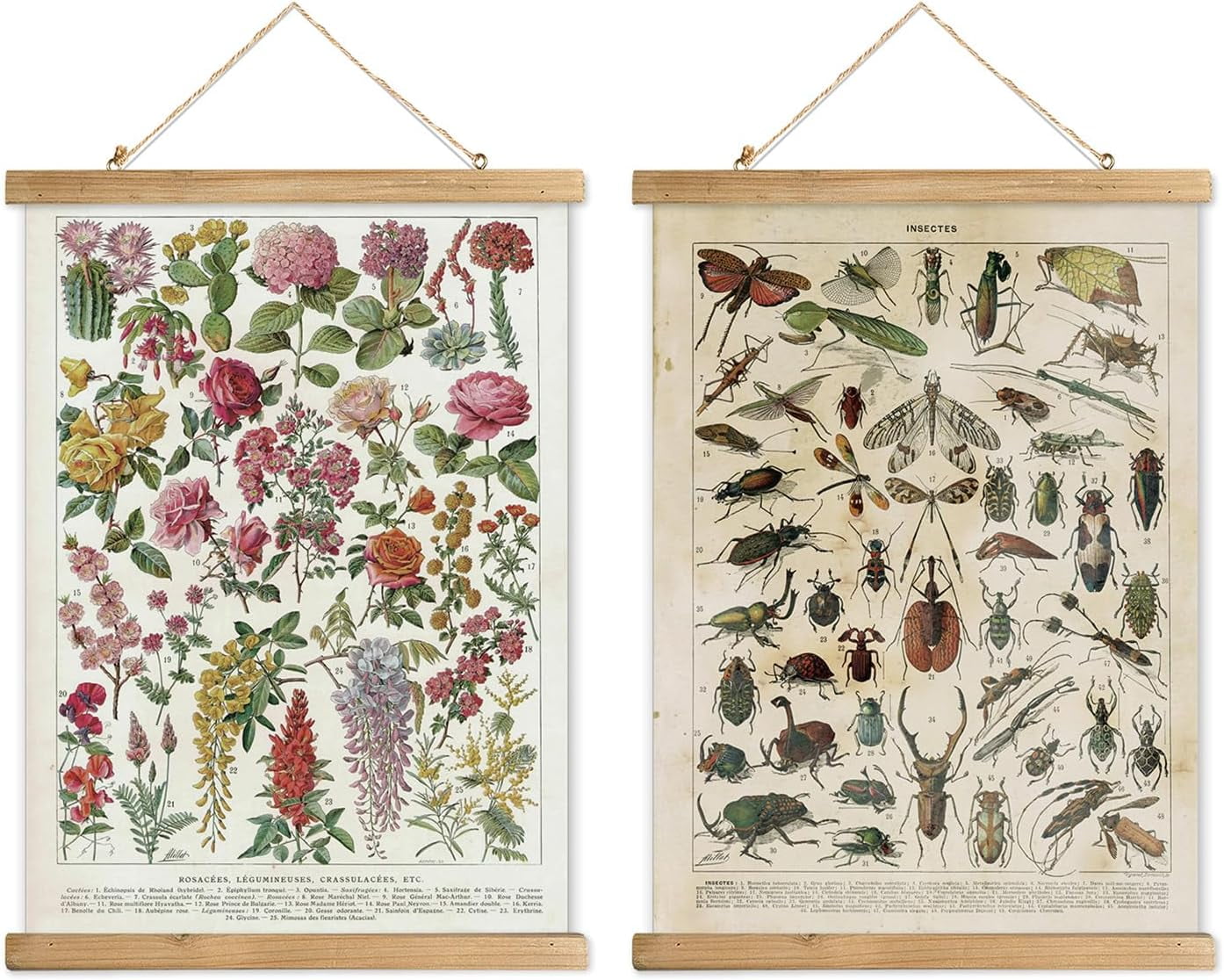 AABERIC Winter Wildlife Educational Poster - Illustrated Arctic Animals ...