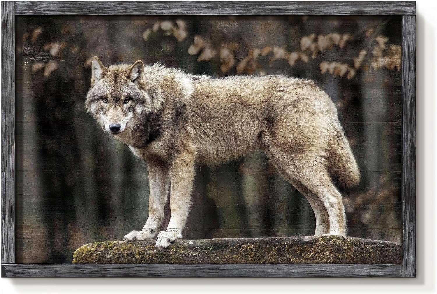 AABERIC Wolf Framed Wall Art Decor: Western Farm Wooden Painting Wild ...