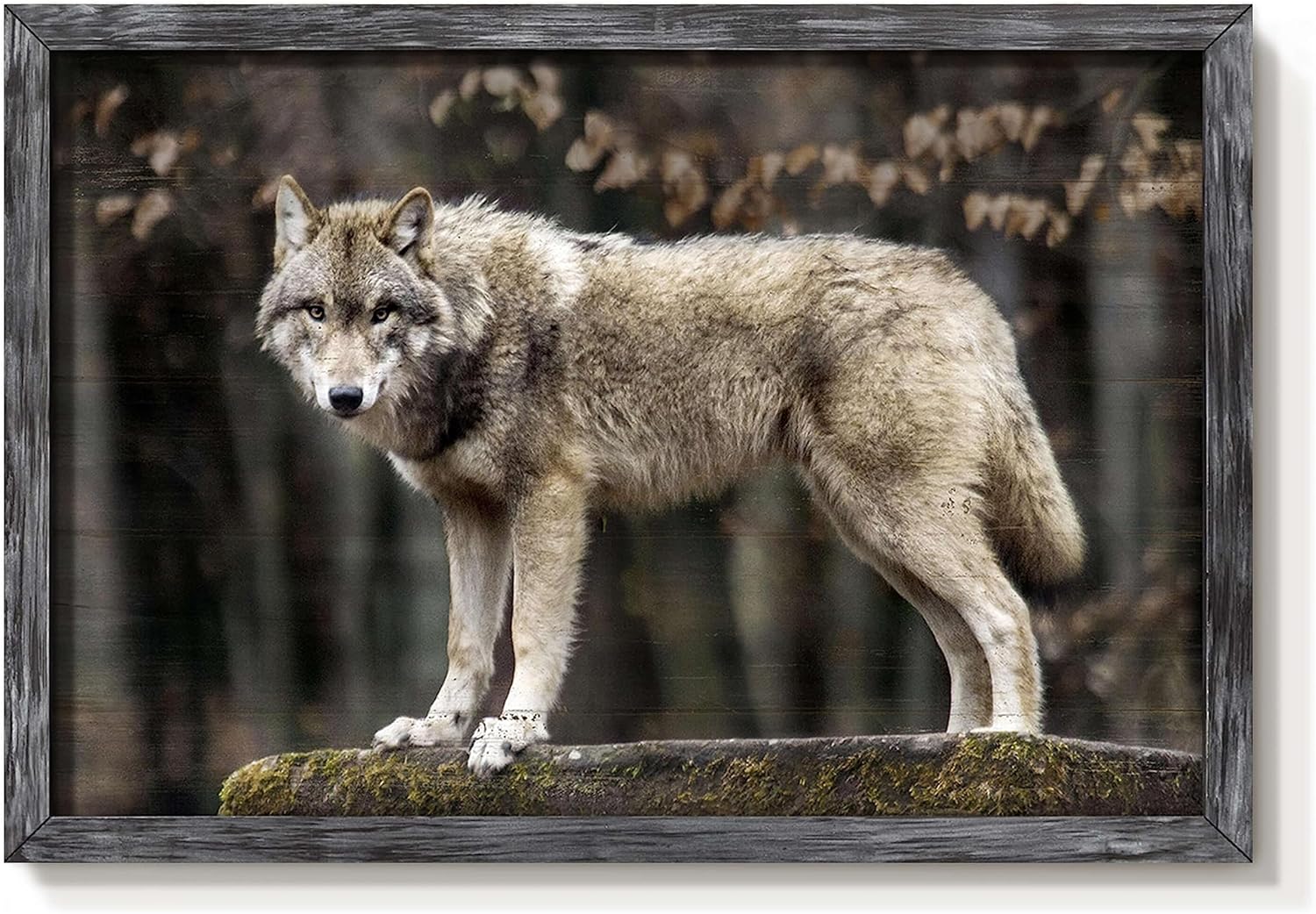 AABERIC Wolf Framed Wall Art Decor: Western Farm Wooden Painting Wild ...