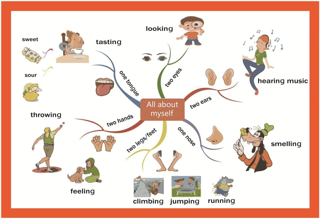 AABERIC All about myself body Mind Mapping Educational Posters Toddlers ...
