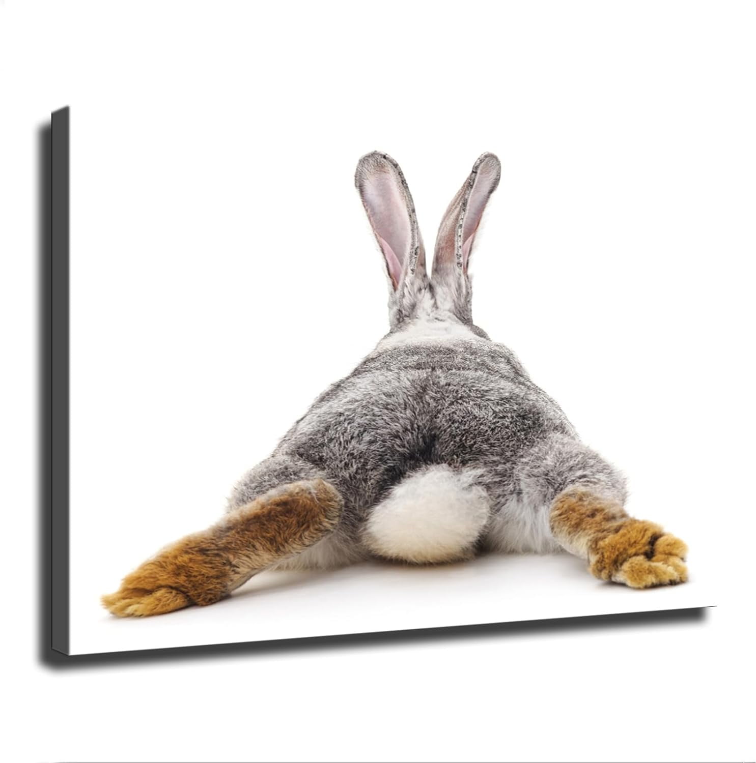 AABERIC gray tail gray rabbit rabbit back animal Poster Canvas Printing ...
