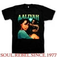 AALIYAH THE QUEEN TURQUOISE RAP HIP HOP T SHIRTS MEN'S SIZES - Walmart.com