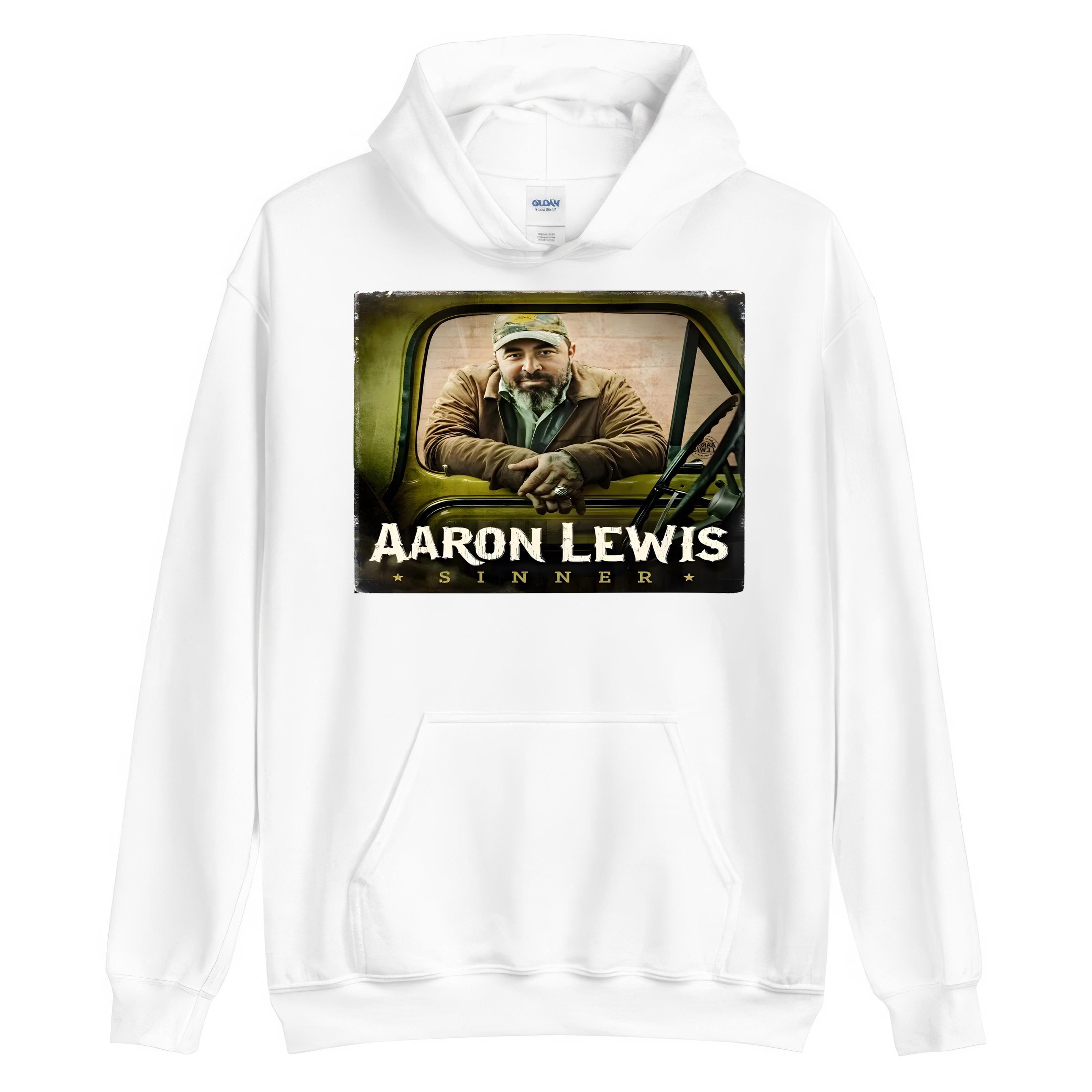AARON LEWIS T SHIRT sinner vinyl cd cover SMALL MEDIUM LARGE XL-TH39996 ...