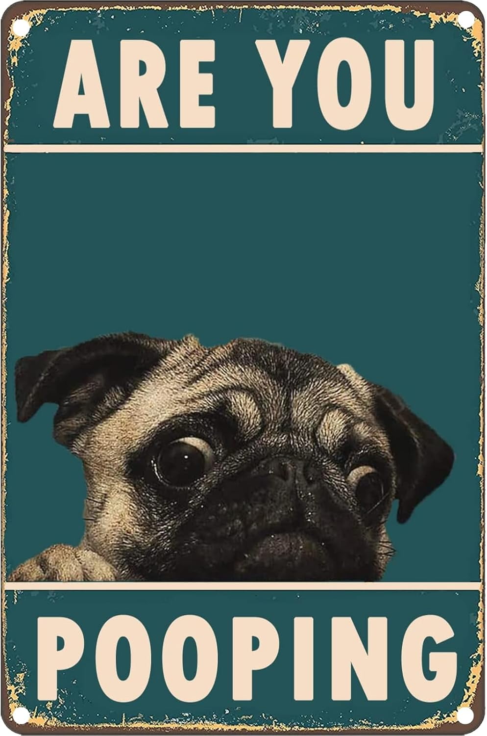 AAXTinsing Metal Sign Are You Pooping Tin Sign Retro Dog Aluminum Sign ...