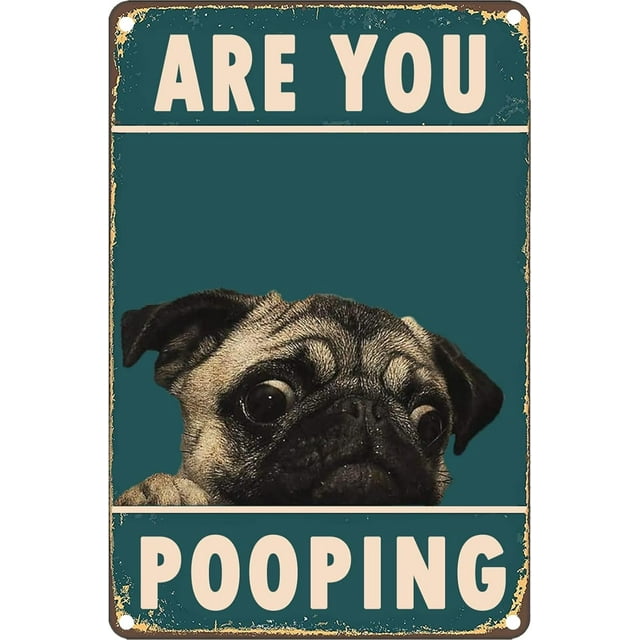 AAXTinsing Metal Sign Are You Pooping Tin Sign Retro Dog Aluminum Sign ...