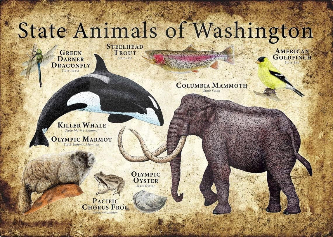 AAXTinsing Vintage State Animals Of Washington Aluminium Metal Tin Sign ...