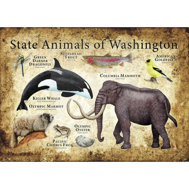 AAXTinsing Vintage State Animals Of Washington Aluminium Metal Tin Sign ...