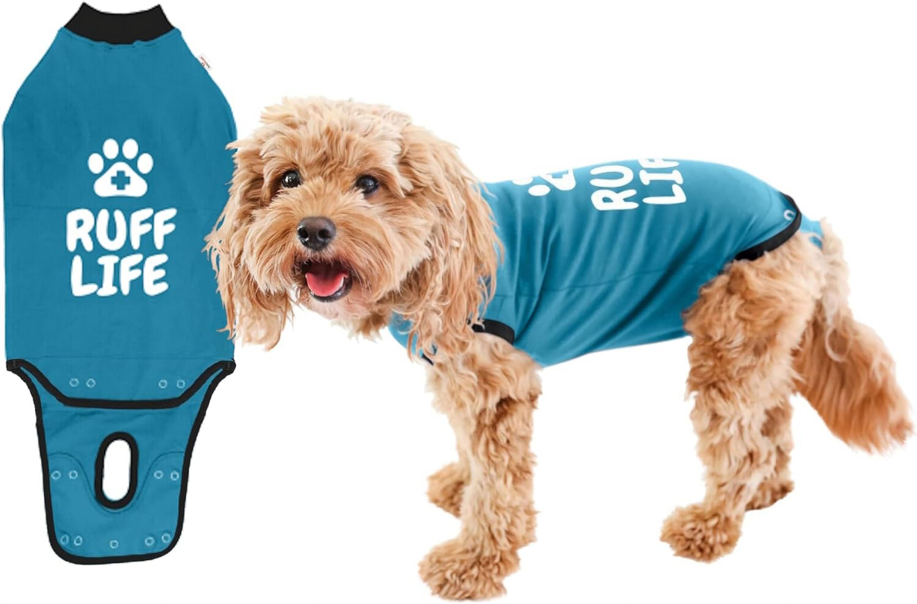 AAZZ Recovery Suit for Dogs, After Surgery Dog Recovery Suit Female and ...