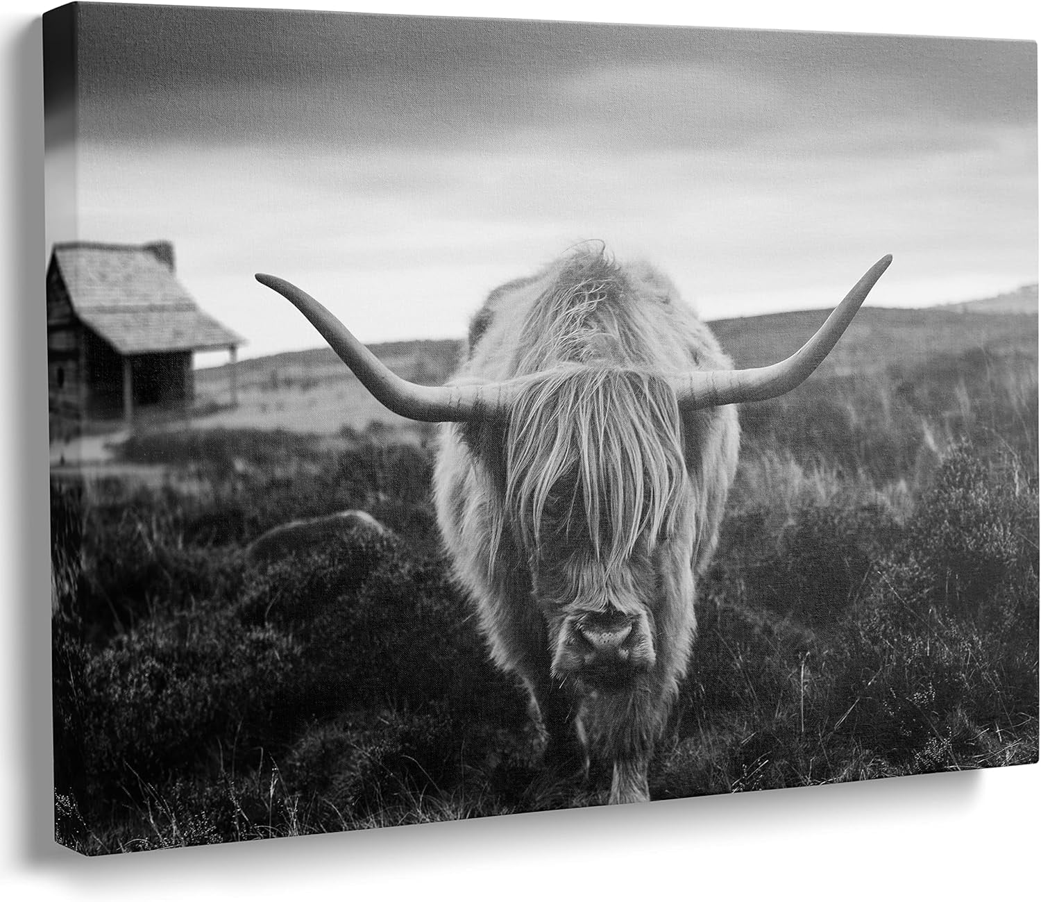 AAposter Framed Highland Cow Canvas Wall Art Black and White Landscape ...