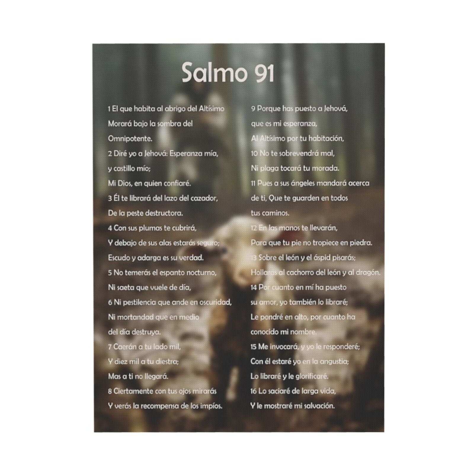 AAposter Psalm 91 in Spanish for Wall Art, Christian Wall Pictures in ...