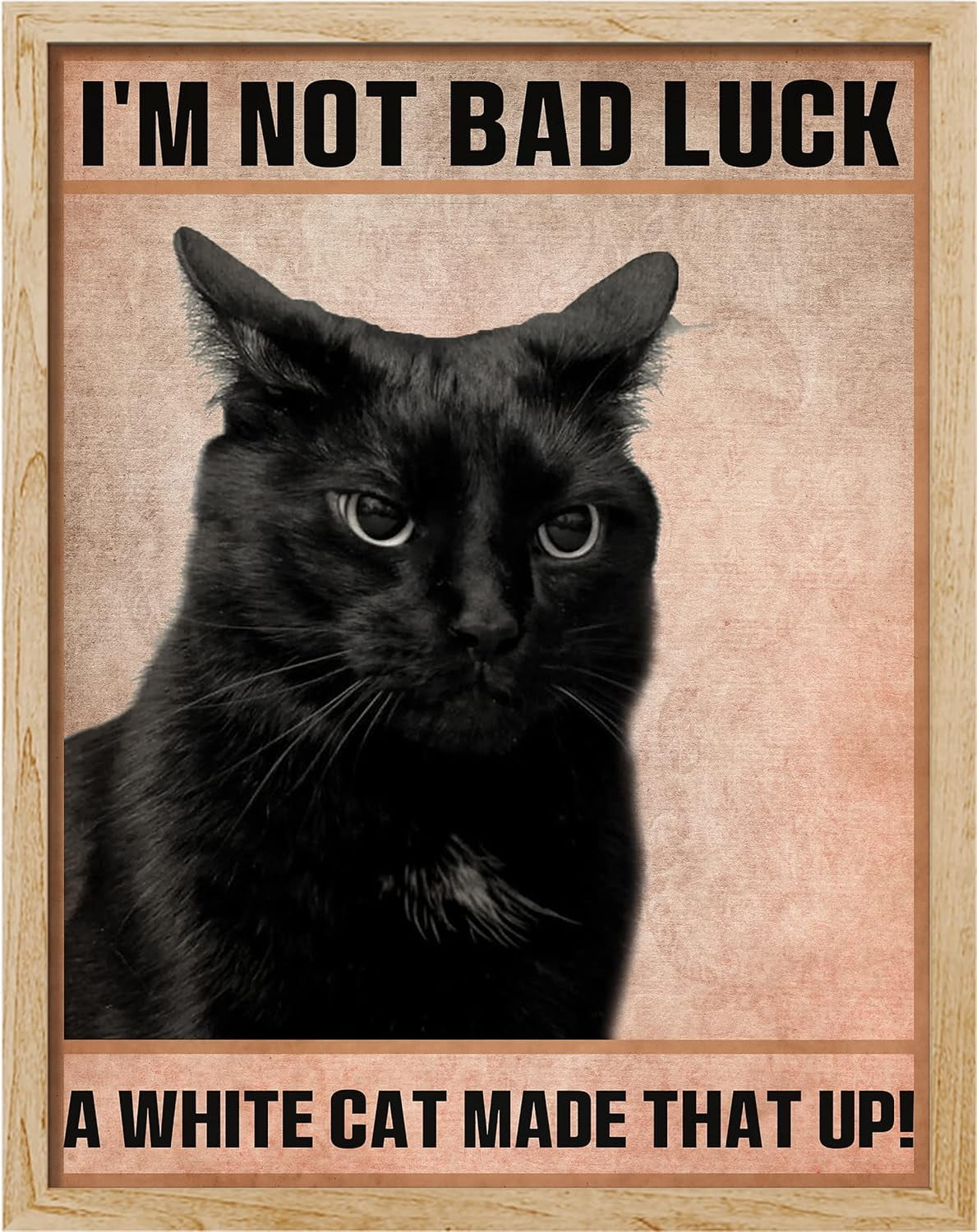 AAzaqTin-Adhesive Canvas Poster I'm Not Bad Luck, Black Cat, Funny ...