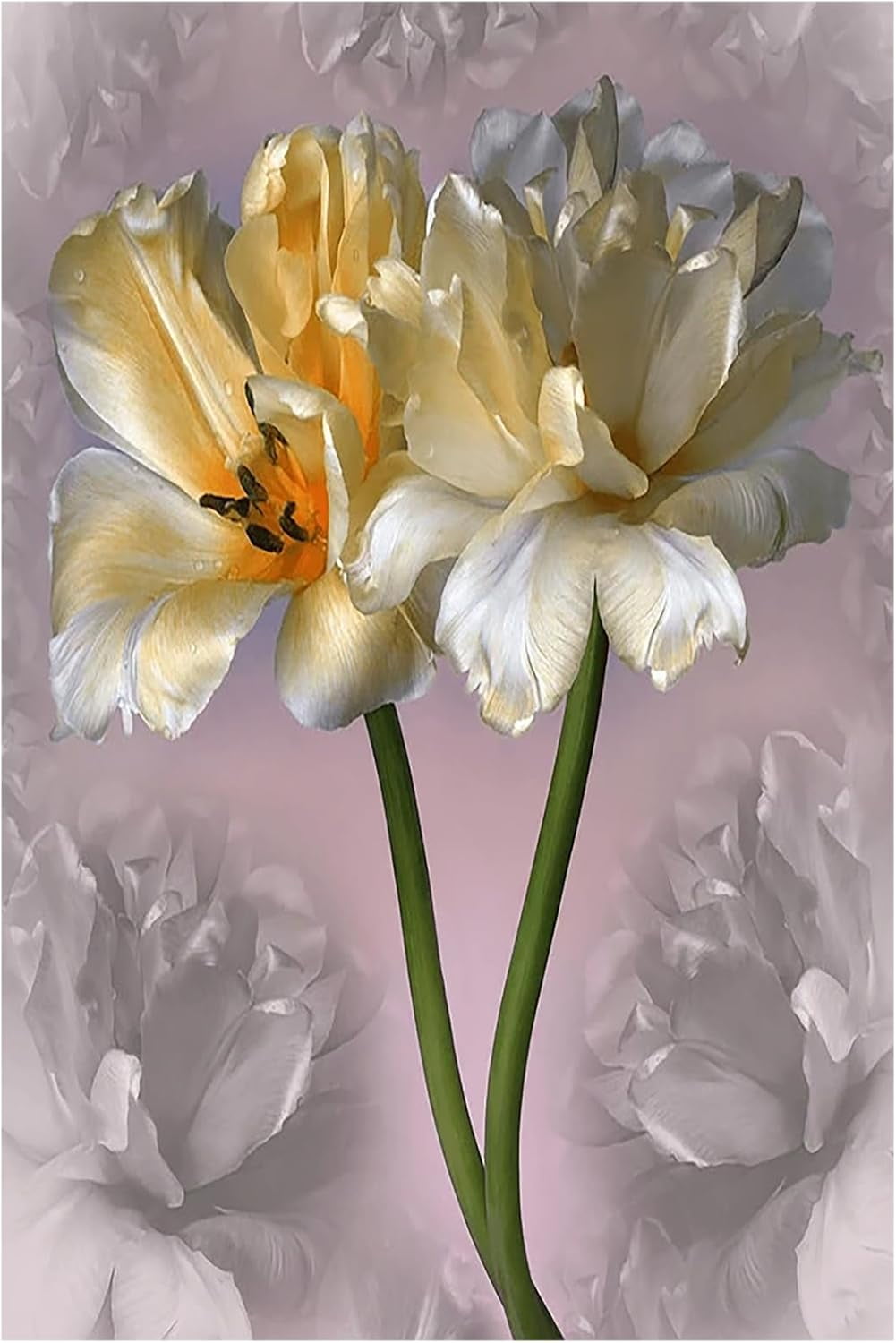 AAzaqTin-Canvas Poster 12"x18" Unframed, Orange Tulips Flower Pink, Wall Art Women Spring Love ...