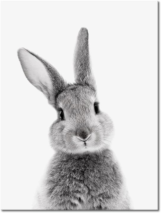 AAzaqTin-DakTenn Rabbit Wall Art Bunny Wall Art Bunny Decor Lovely ...