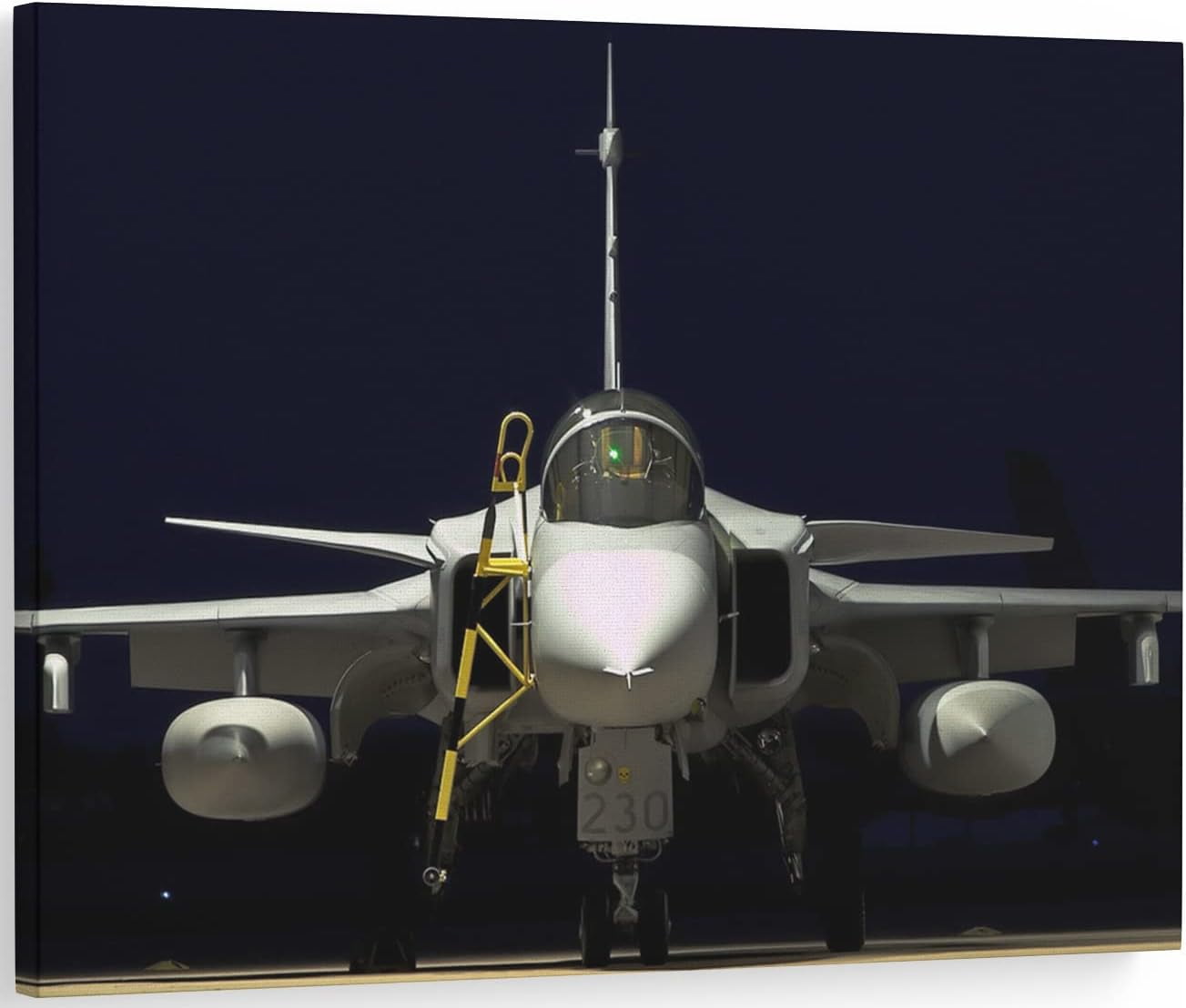 AAzaqTin-F5 Airplane Art Wall Decor Tiger II Freedom Fighter Jet Poster ...